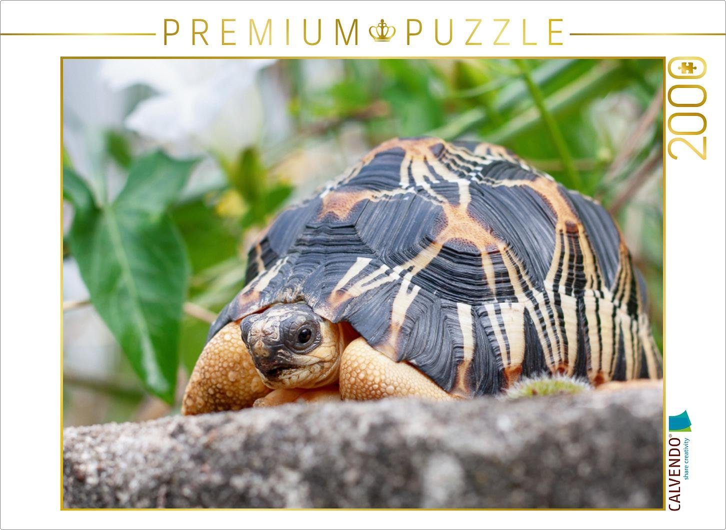 Schwere Puzzle online kaufen | OTTO