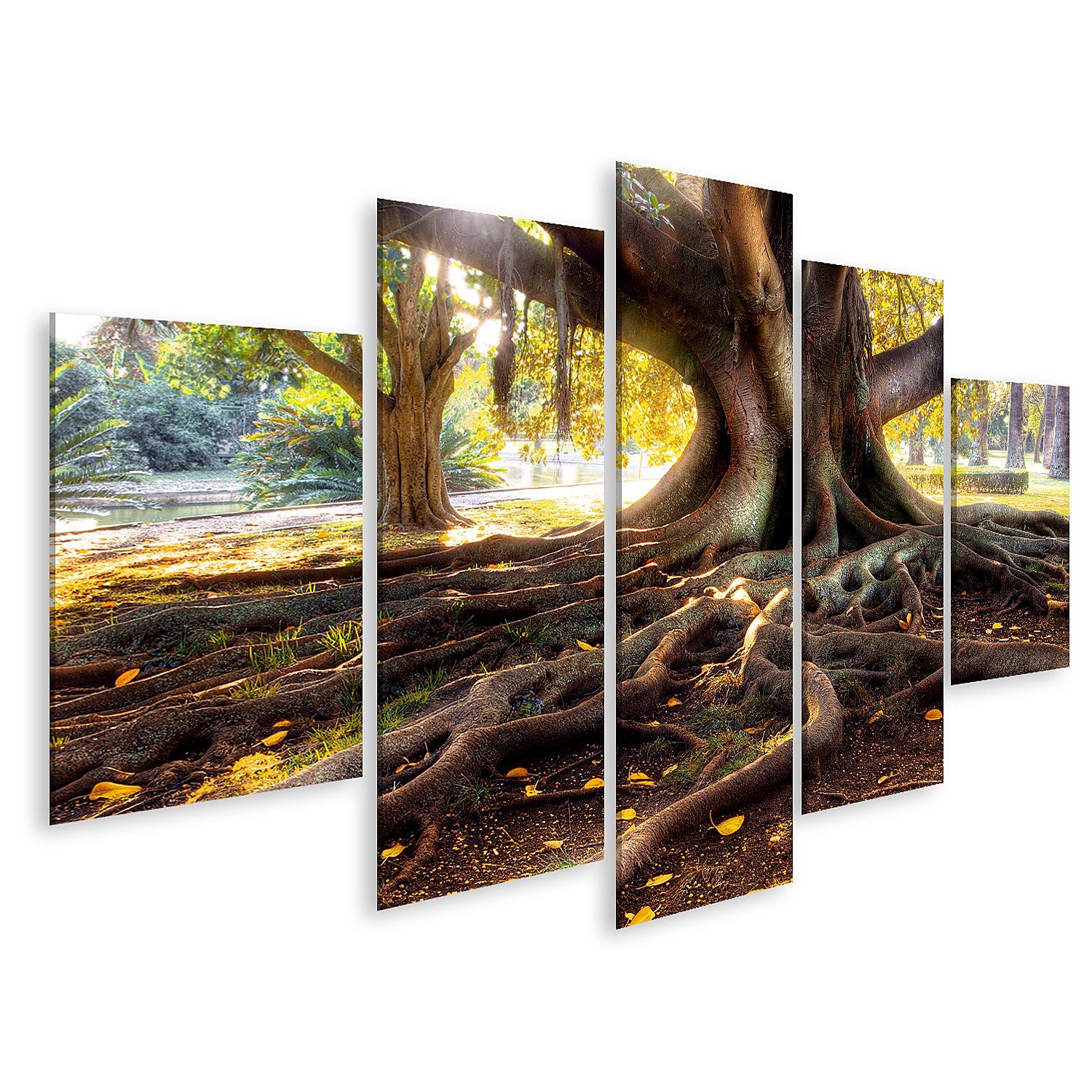 islandburner Leinwandbild Bild auf Leinwand Hundertjähriger Baum Wandbild Poster Kunstdruck Bild