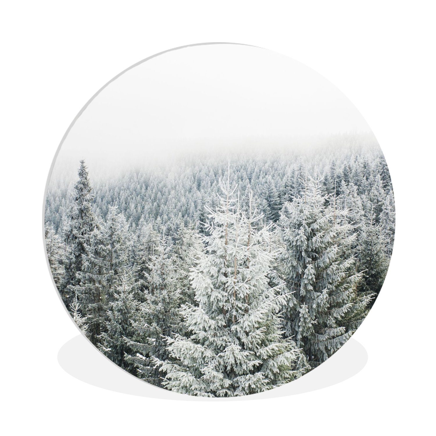 Muchowow Gemälde Wald Schnee Winter Jahreszeiten Tannenbaum Ø