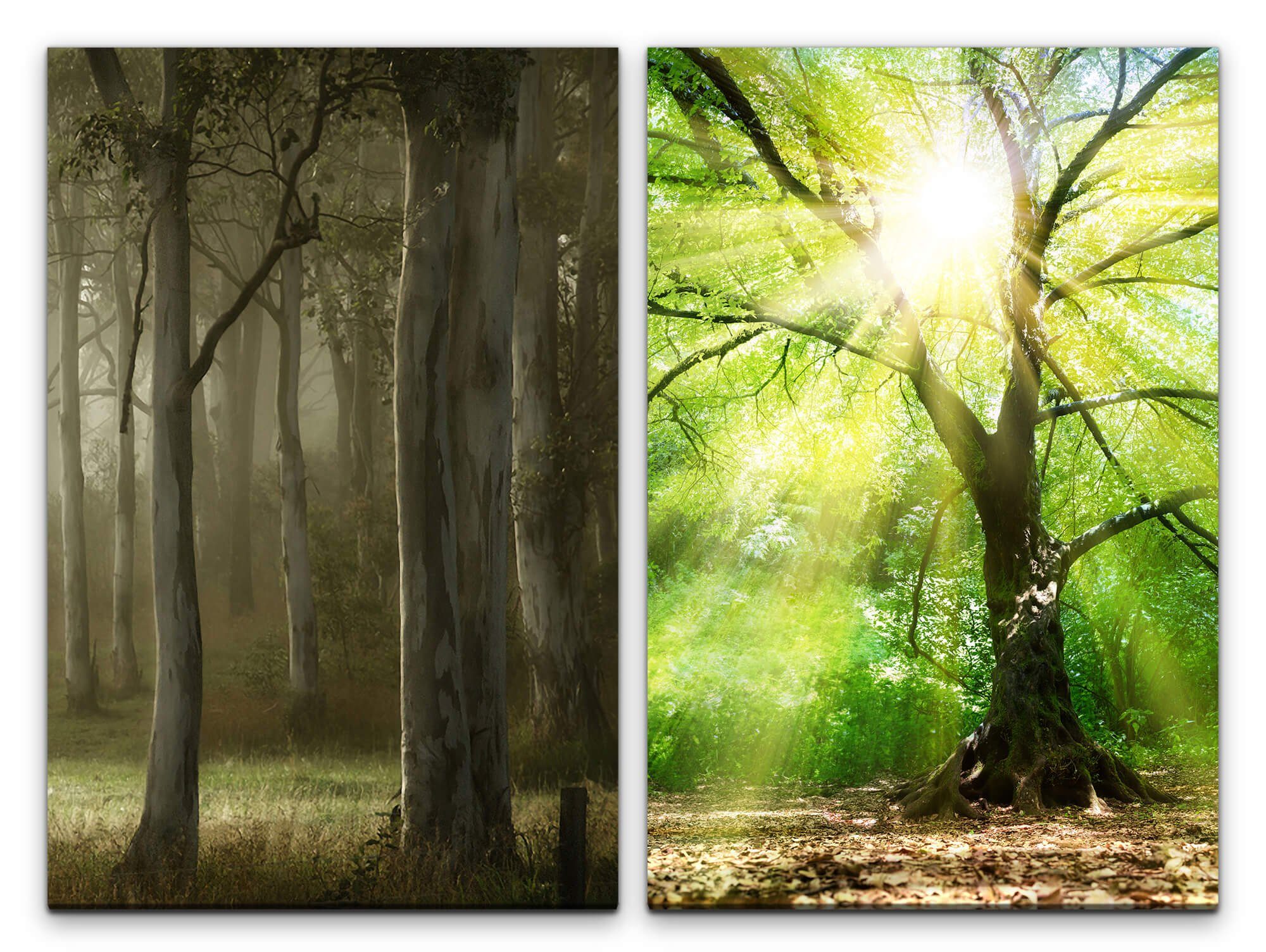 Sinus Art Leinwandbild 2 Bilder Je 60x90cm Wald Baumkrone Goldenes