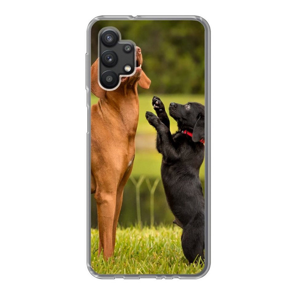 Muchowow Handyhülle Ein Welpe Spielt Mit Einem Erwachsenen Hund