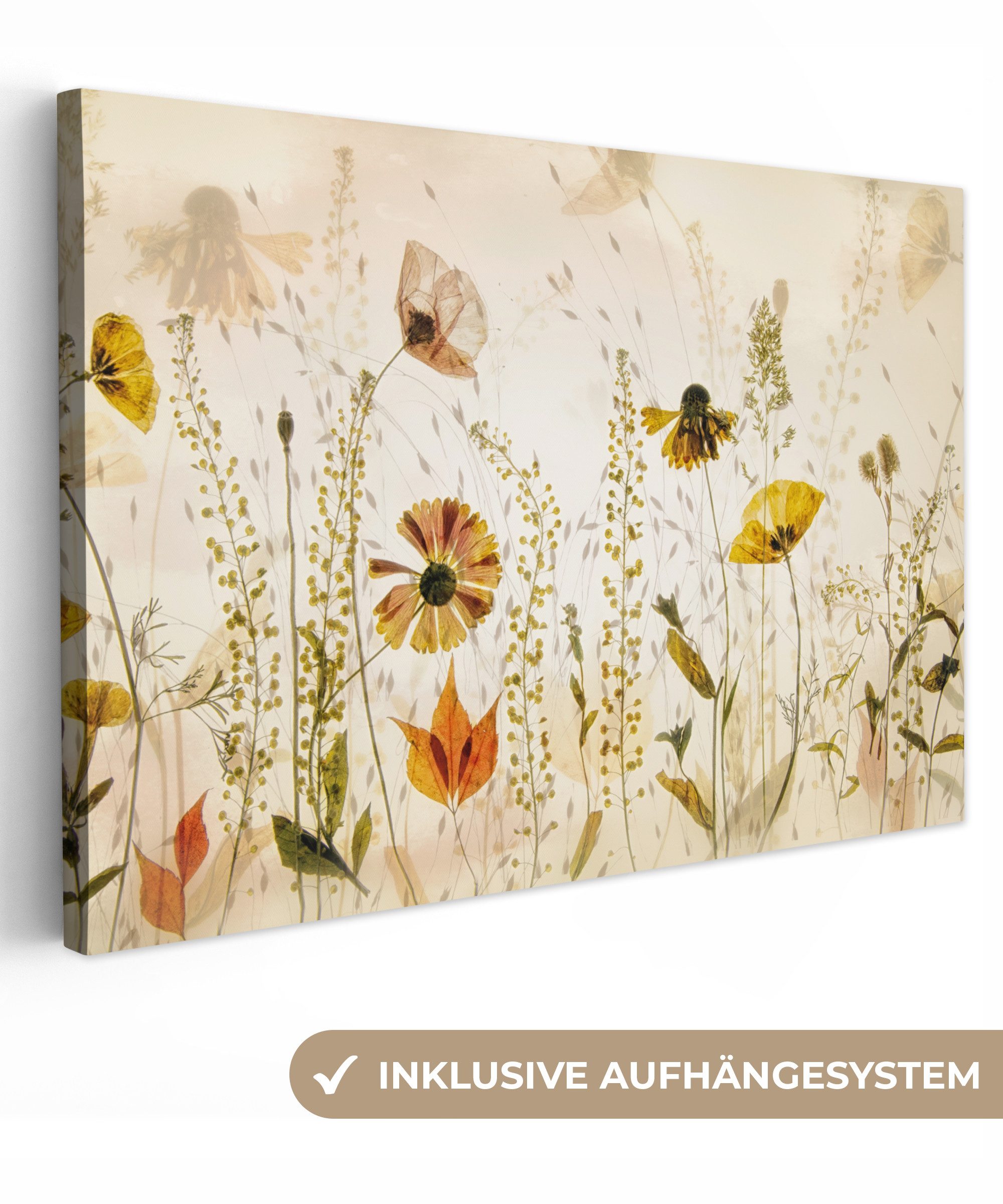 Onemillioncanvasses® Leinwandbild Illustration Pflanzen Insekten