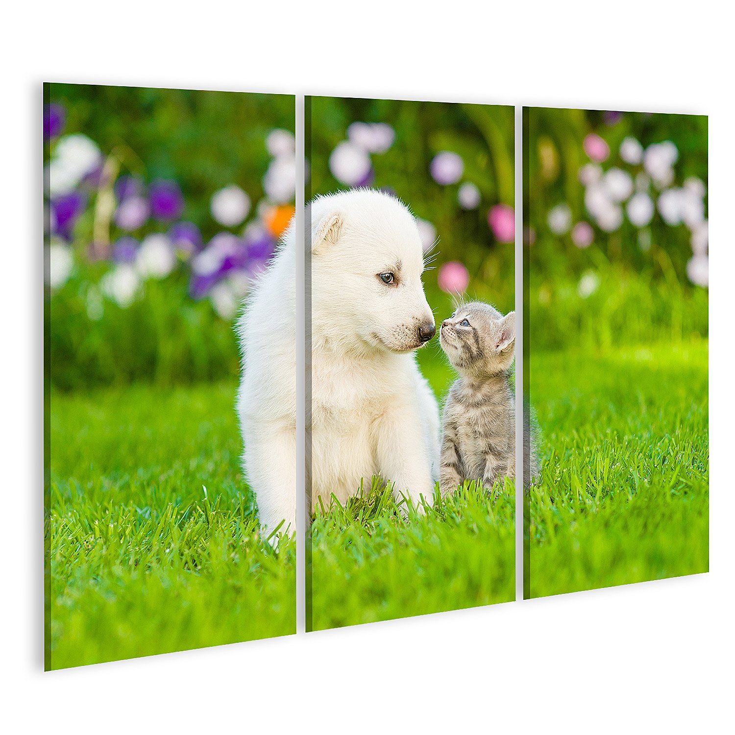 islandburner Leinwandbild Bild auf Leinwand Kätzchen Küssen Weiße Schweizer Schäfer Welpen Auf G