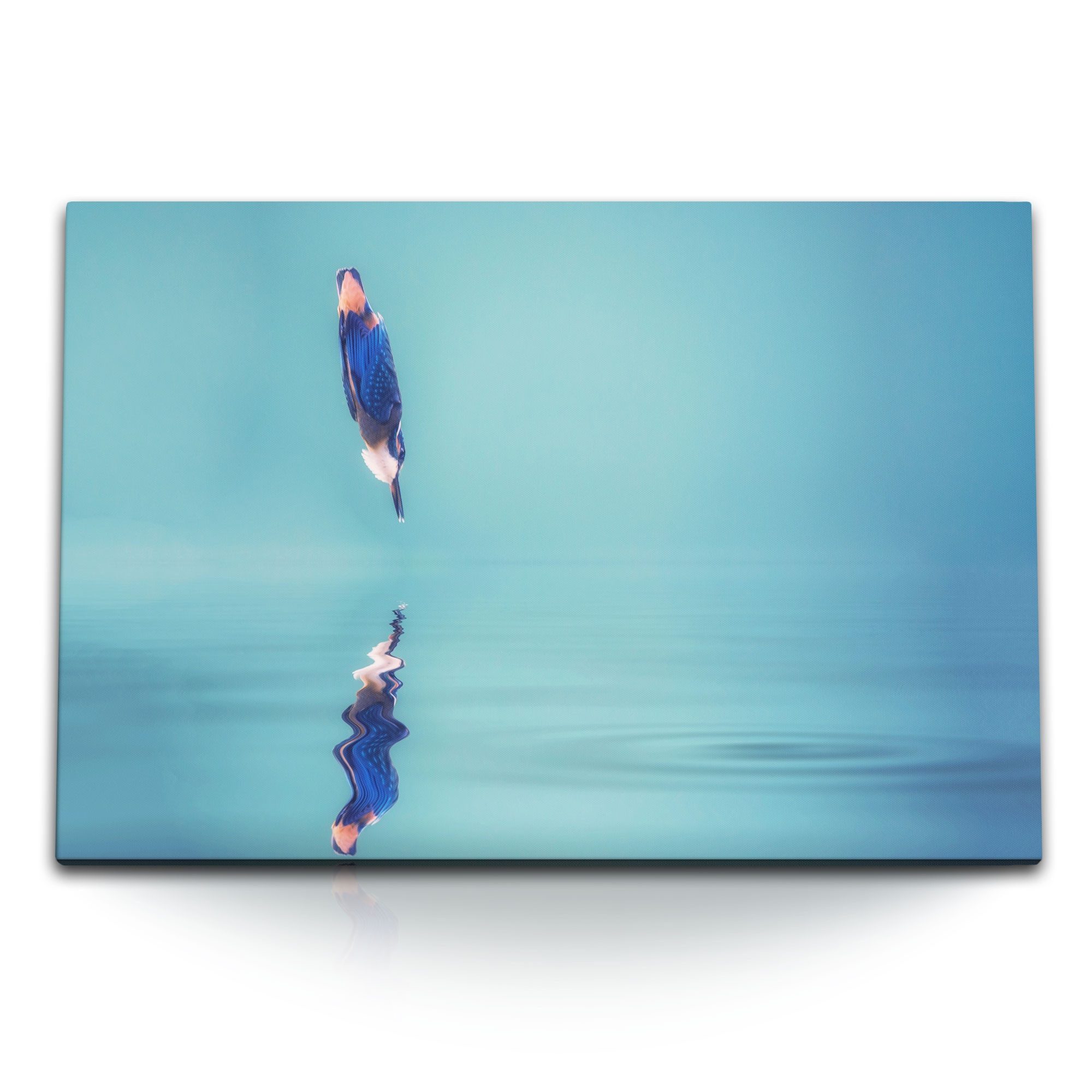 Sinus Art Leinwandbild 120x80cm Wandbild auf Leinwand Eisvogel Blau Hellblau Tierfotografie k ...