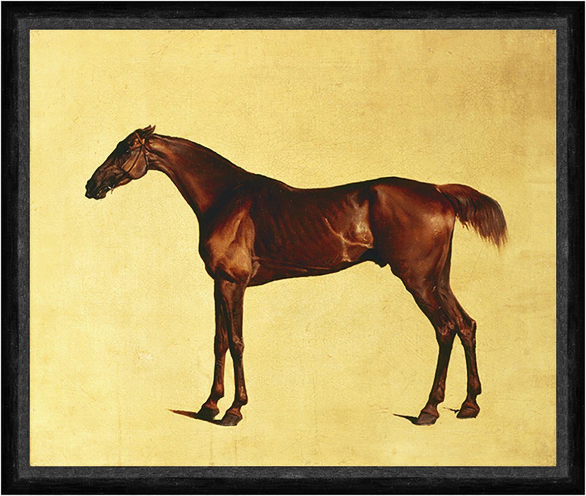 BillerAntik Kunstdruck Pangloss Stubbs Pferde Rassen Tiere Schlank Braun Trense Hengst Faks_B ...