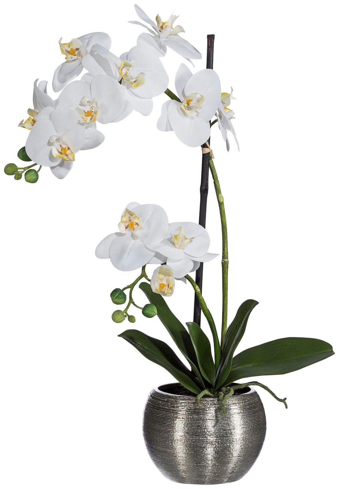Kunstpflanze Orchidee Phalaenopsis Im Keramiktopf H 60 Cm Online