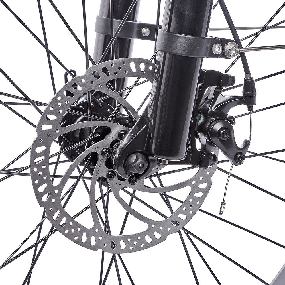 JOBOBIKE E-Bike Mountainbike 26x4 Zoll für Damen und Herren, Robin ...