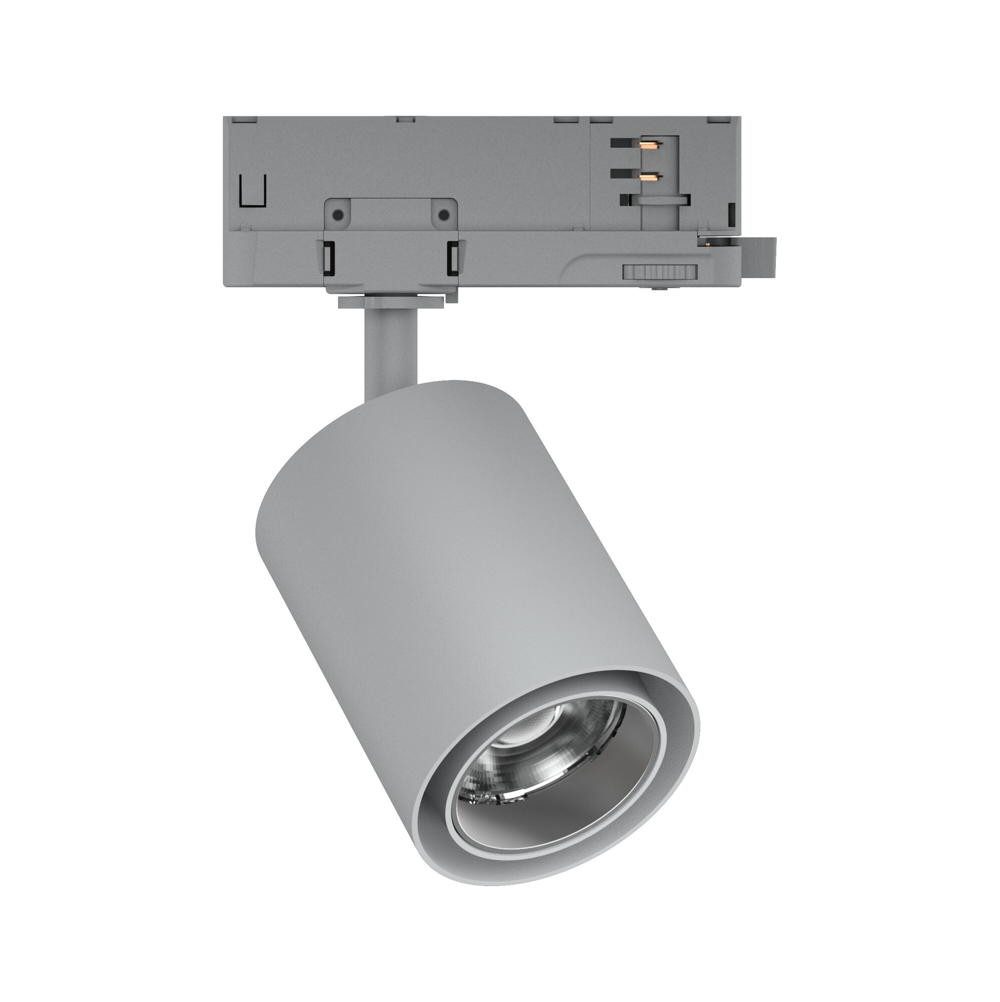 Paulmann Stromschienensystem Prorail3 Led Spot Kratos In Silber 185w