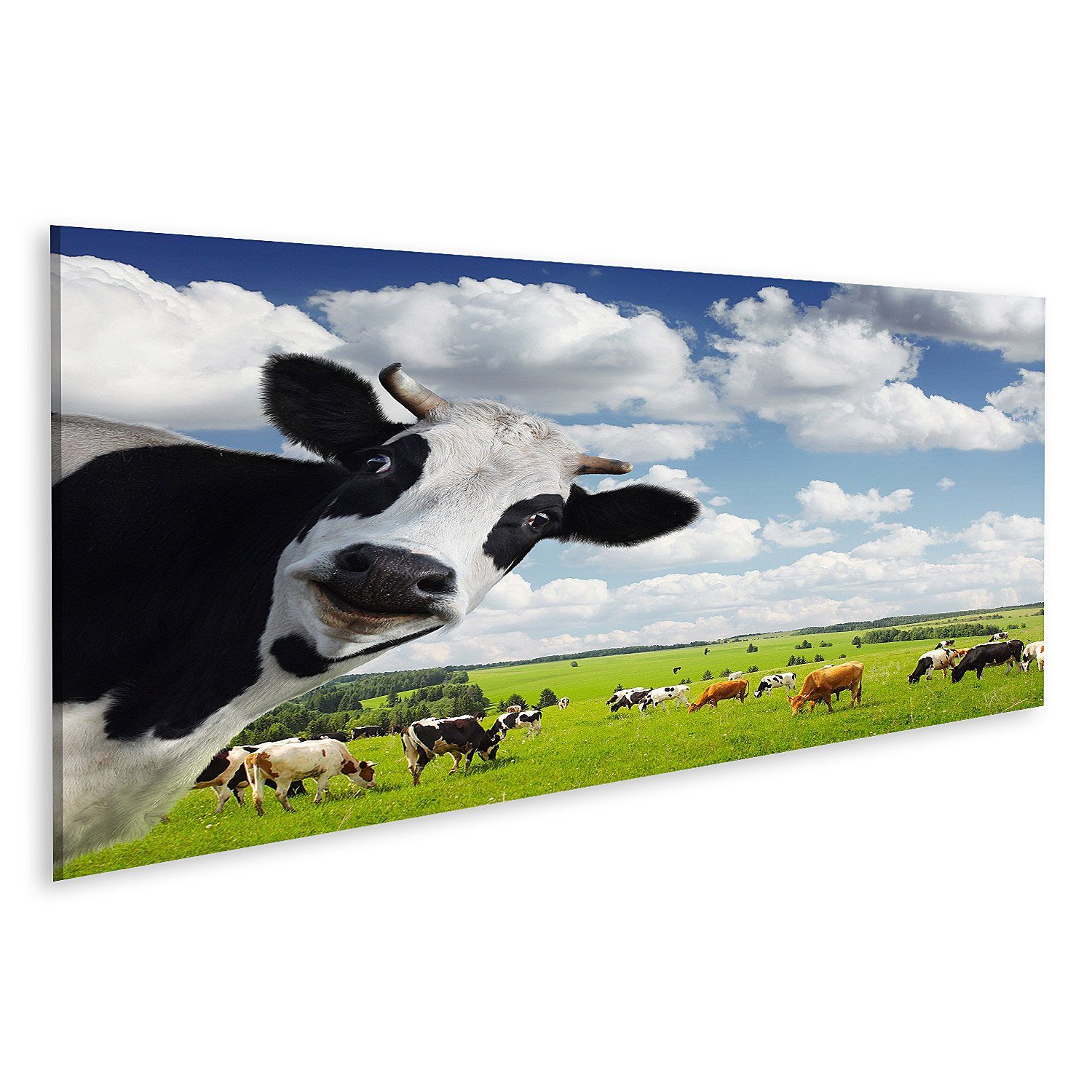 islandburner Leinwandbild »Bild auf Leinwand Lustige Kuh Die In Die Kamera Schaut Mit Grüner ...