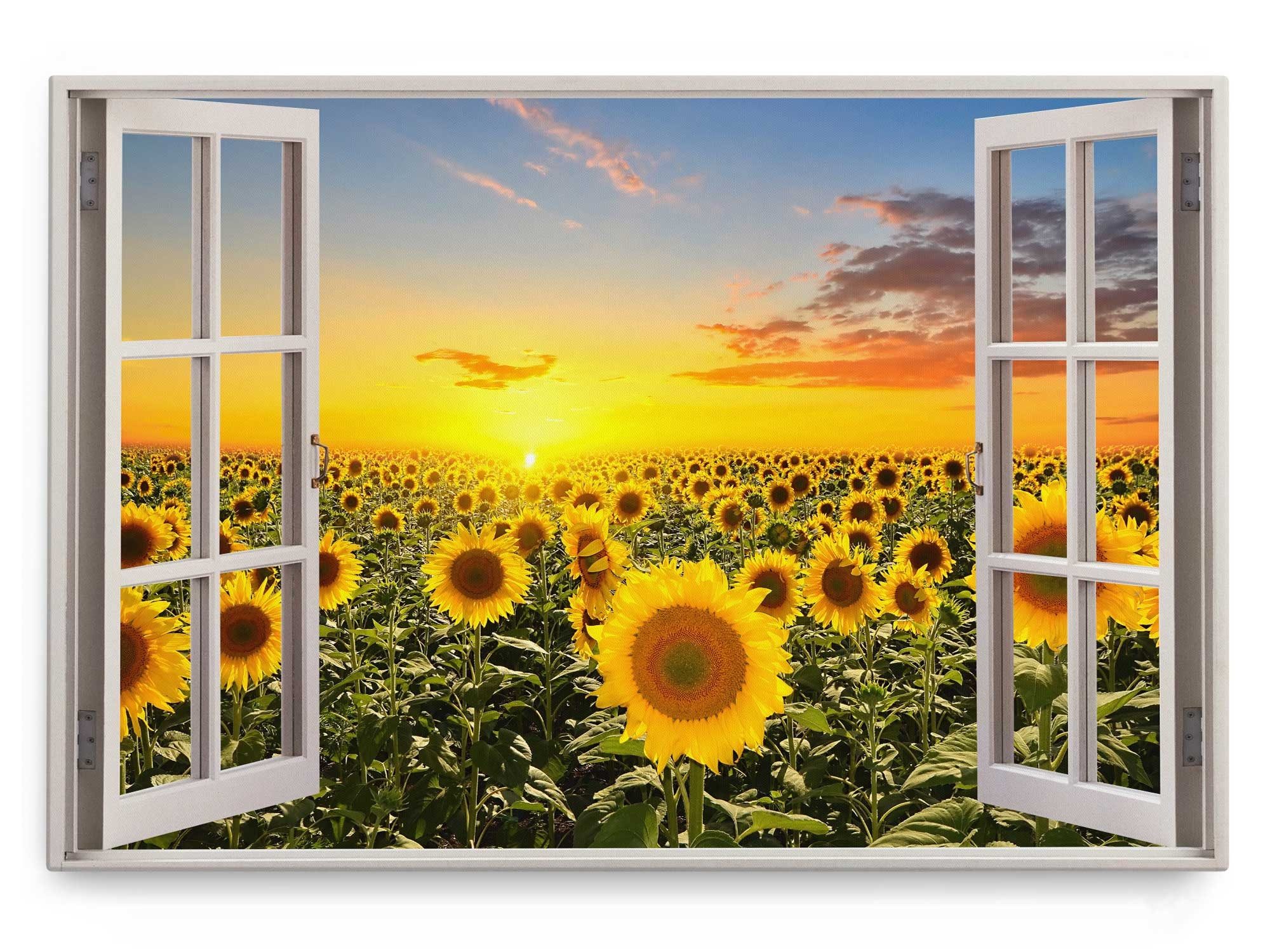 Sinus Art Leinwandbild Wandbild 120x80cm Fensterbild Sonnenblumenfeld Sonnenblumen Sommer Gel ...