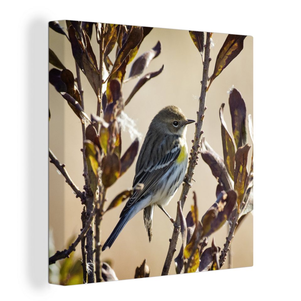 Onemillioncanvasses® Leinwandbild Vogel Zwischen Einem Zweig Mit