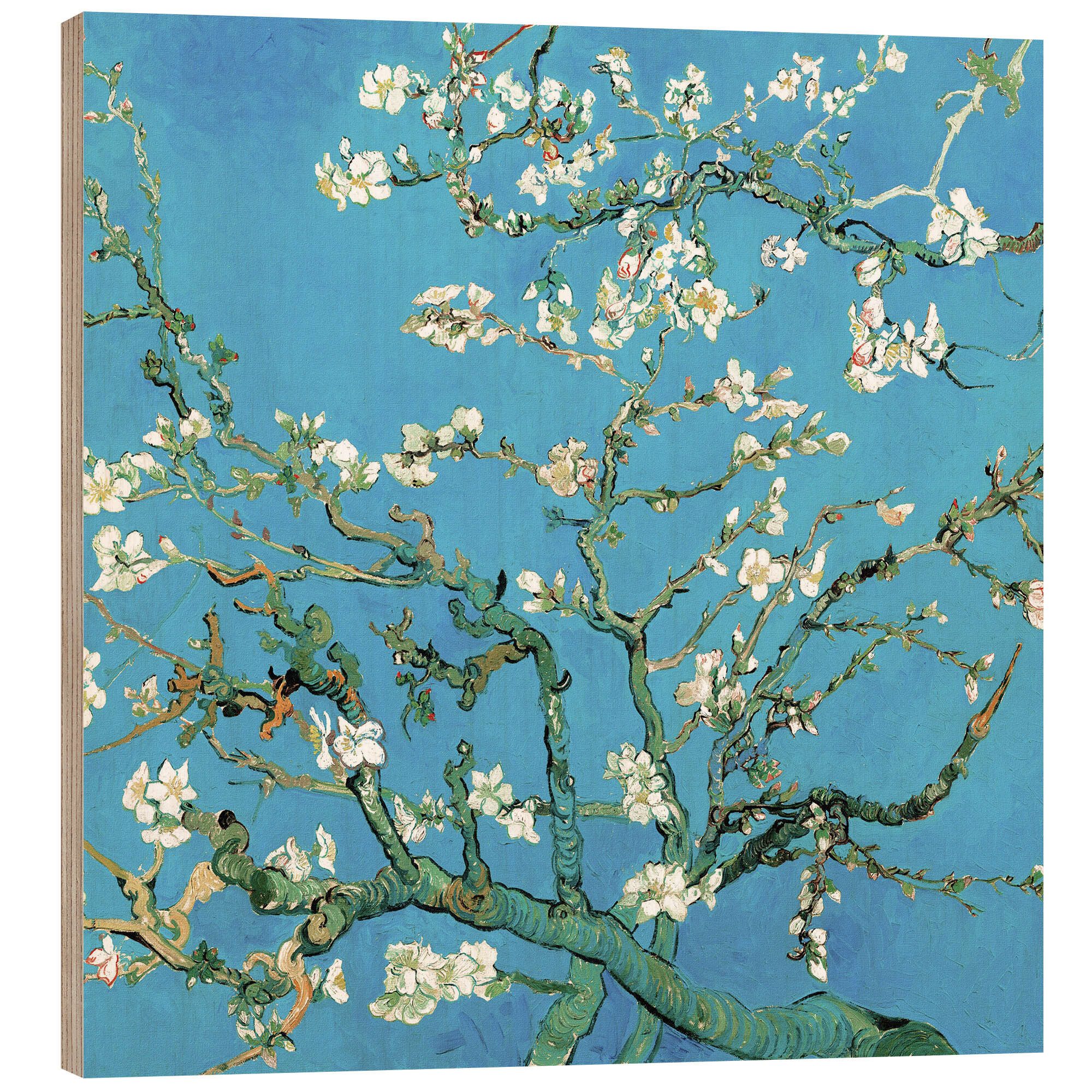 Posterlounge Holzbild Vincent Van Gogh Mandelblüte 1890 Wohnzimmer