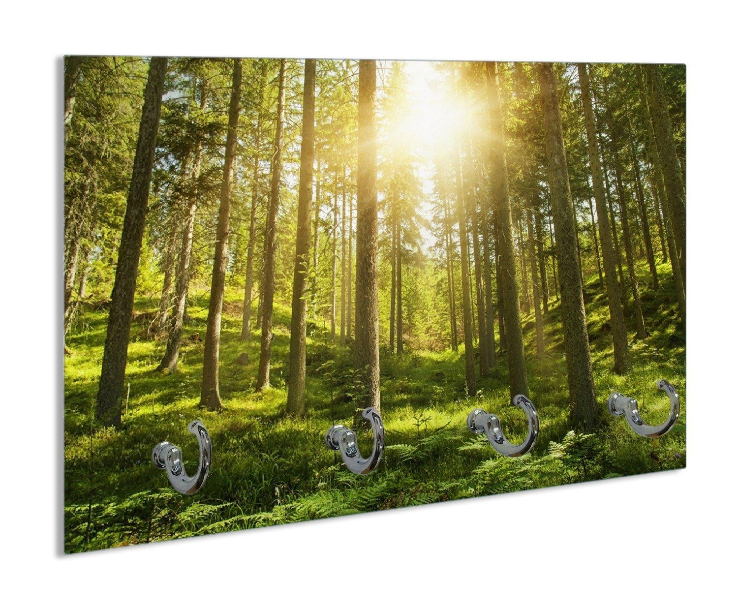 Wallario Schlüsselbrett Sonnenstrahlen Im Nadelwald Mit Moos Und Farn