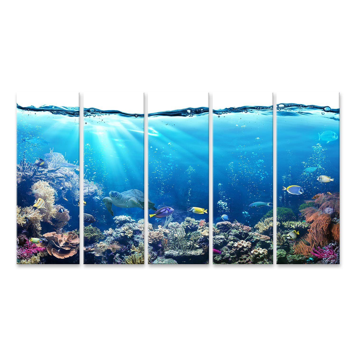 islandburner Leinwandbild Bild auf Leinwand Unterwasser Szene Riff Und Tropischen Fischen Wandb