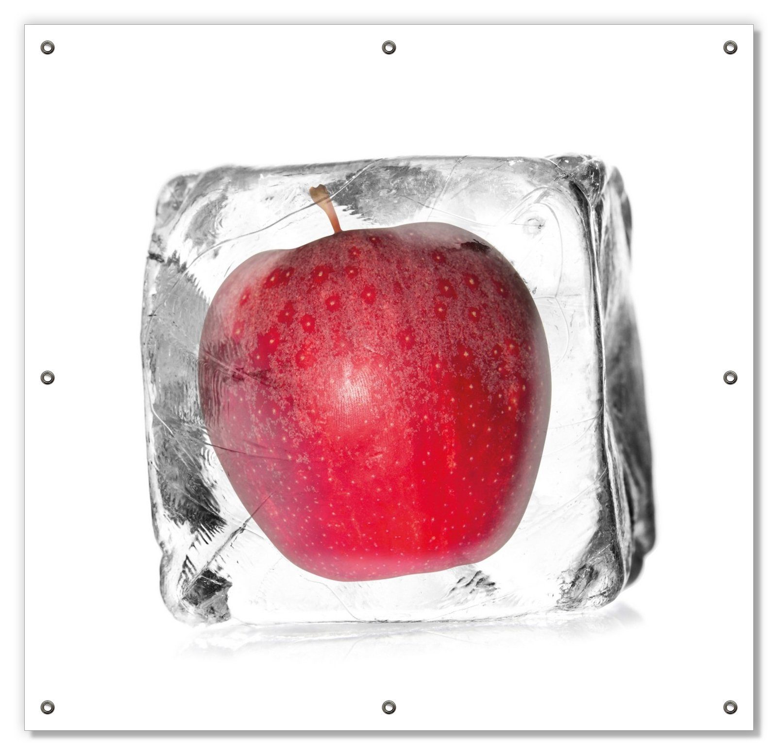 Wallario Sonnenschutz Roter Apfel In Eiswürfel Eiskaltes Obst