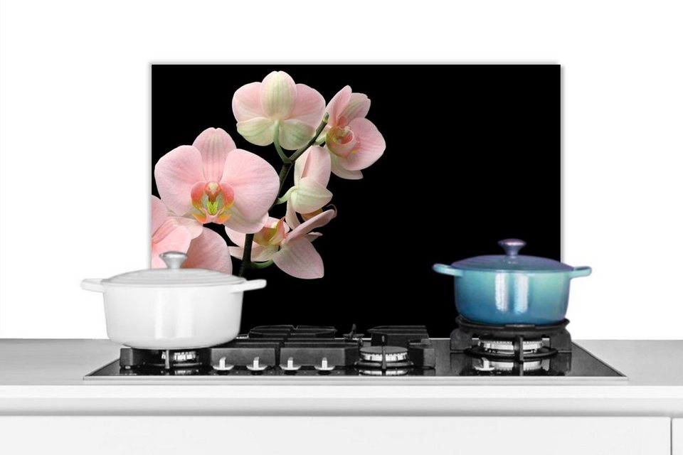 Muchowow Küchenrückwand Orchidee Blumen Rosa Stilleben Flora