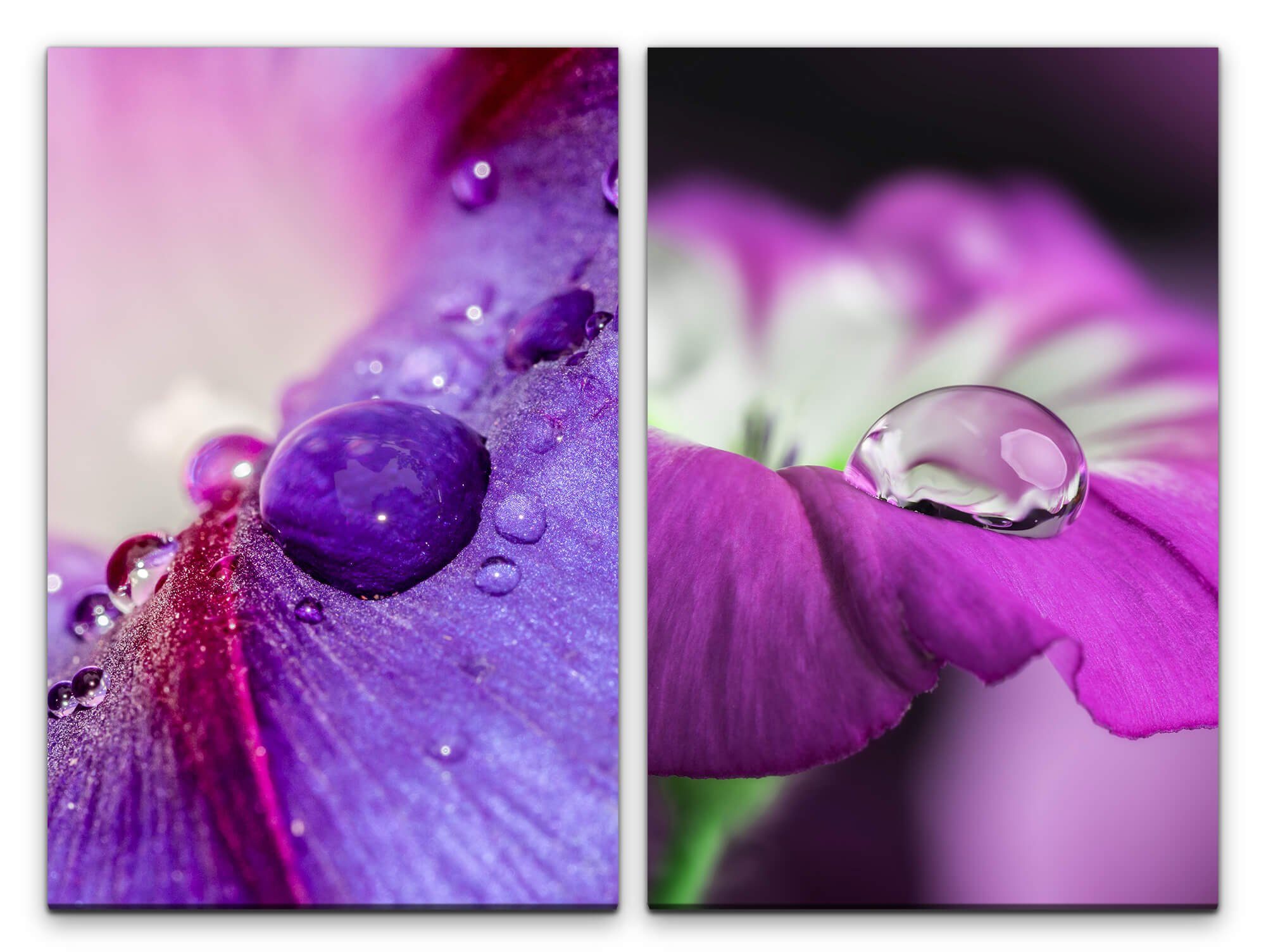 Sinus Art Leinwandbild 2 Bilder Je 60x90cm Orchidee Tropfen Violett