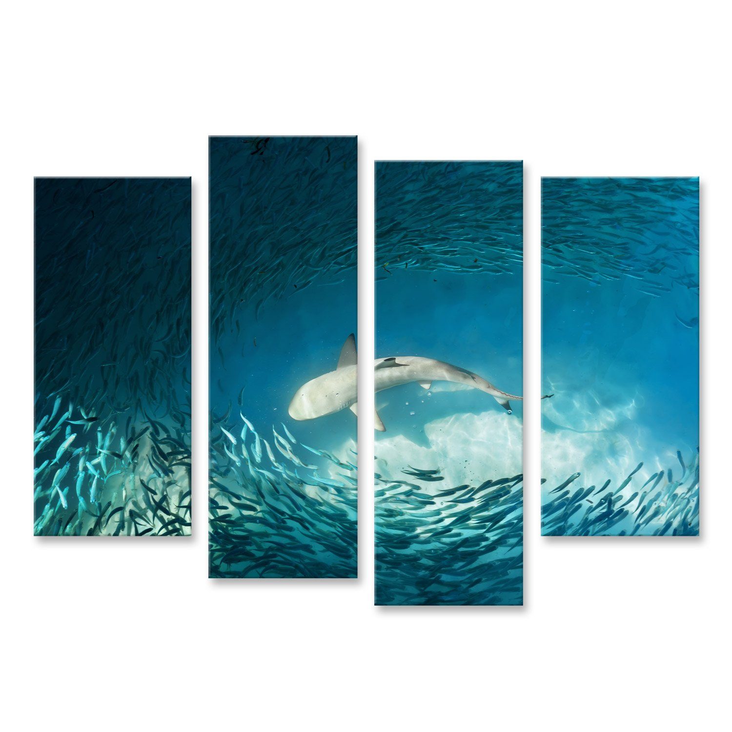 islandburner Leinwandbild »Bild auf Leinwand Hai Kleine Fische Ozean Natur Hintergrund Wandbild ...