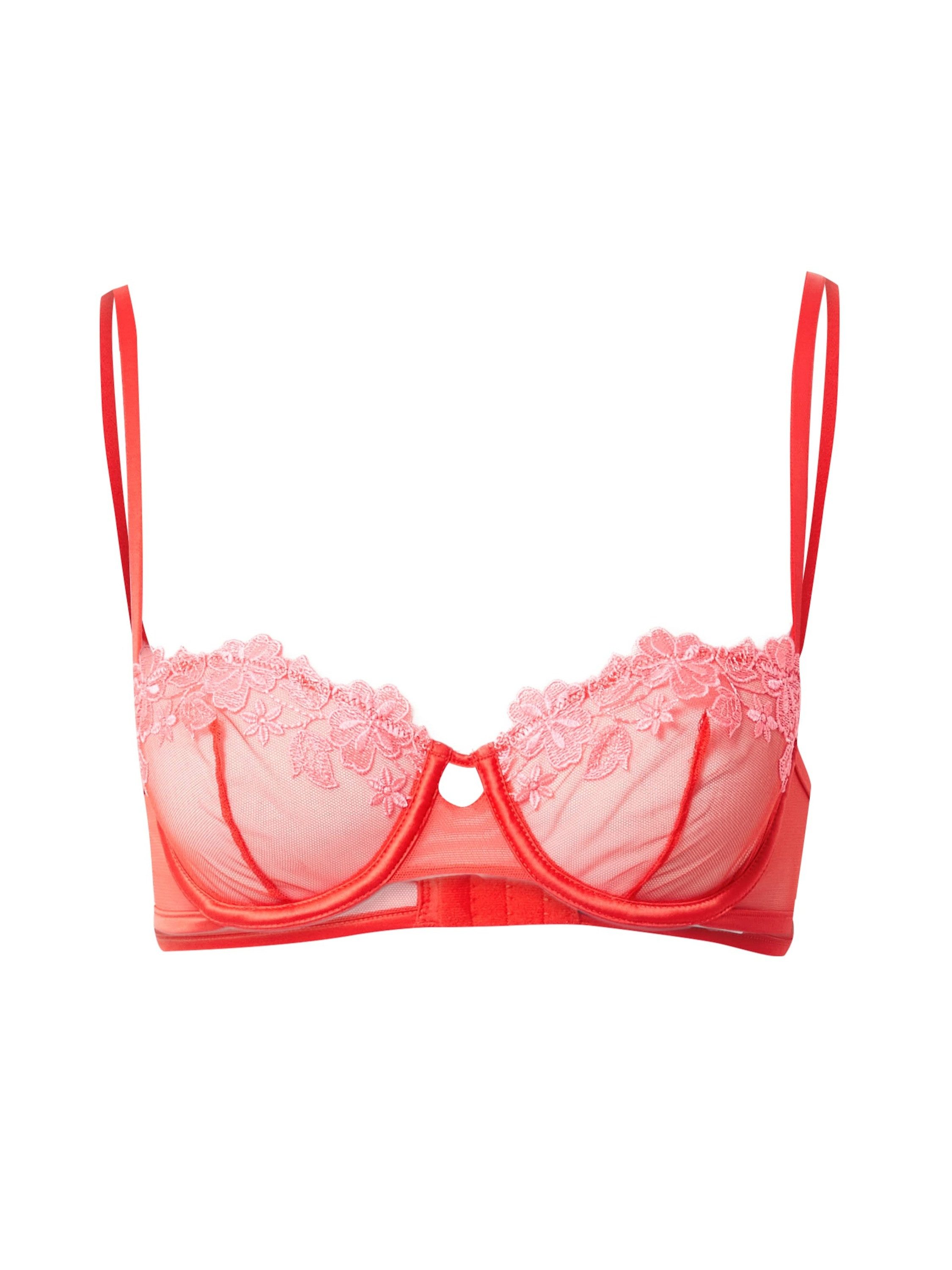 ETAM Balconnet-BH CURIEUSE (1-tlg) Spitze
