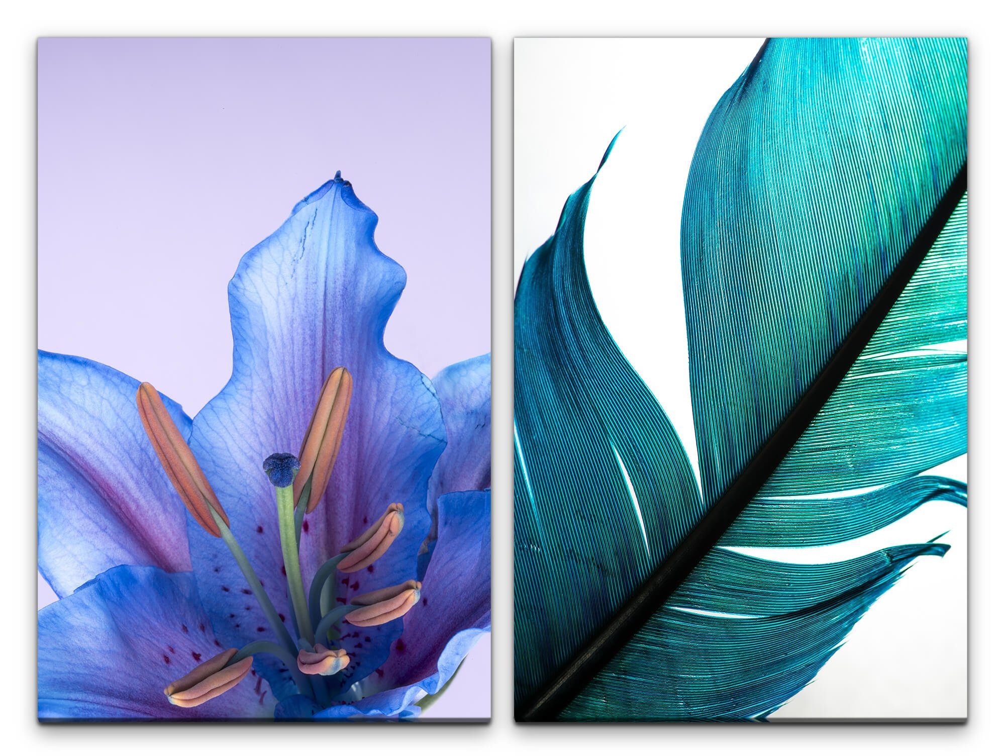 Sinus Art Leinwandbild 2 Bilder Je 60x90cm Lilie Blaue Blüte Feder