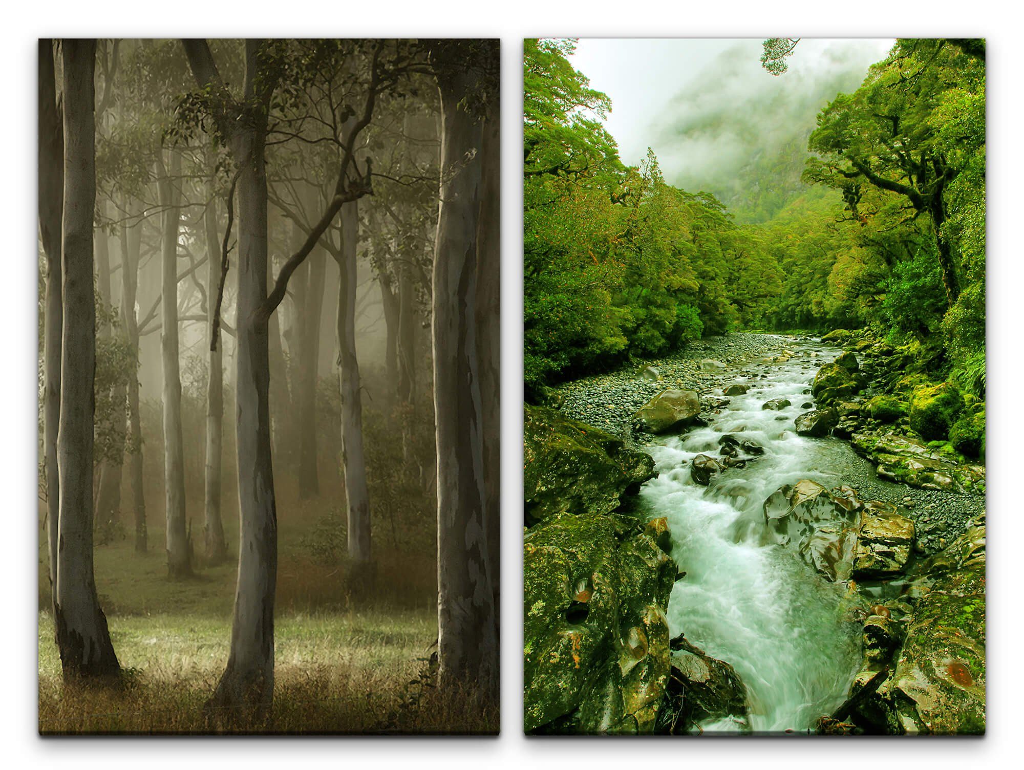 Sinus Art Leinwandbild 2 Bilder Je 60x90cm Wald Natur Bach Grün Bäume