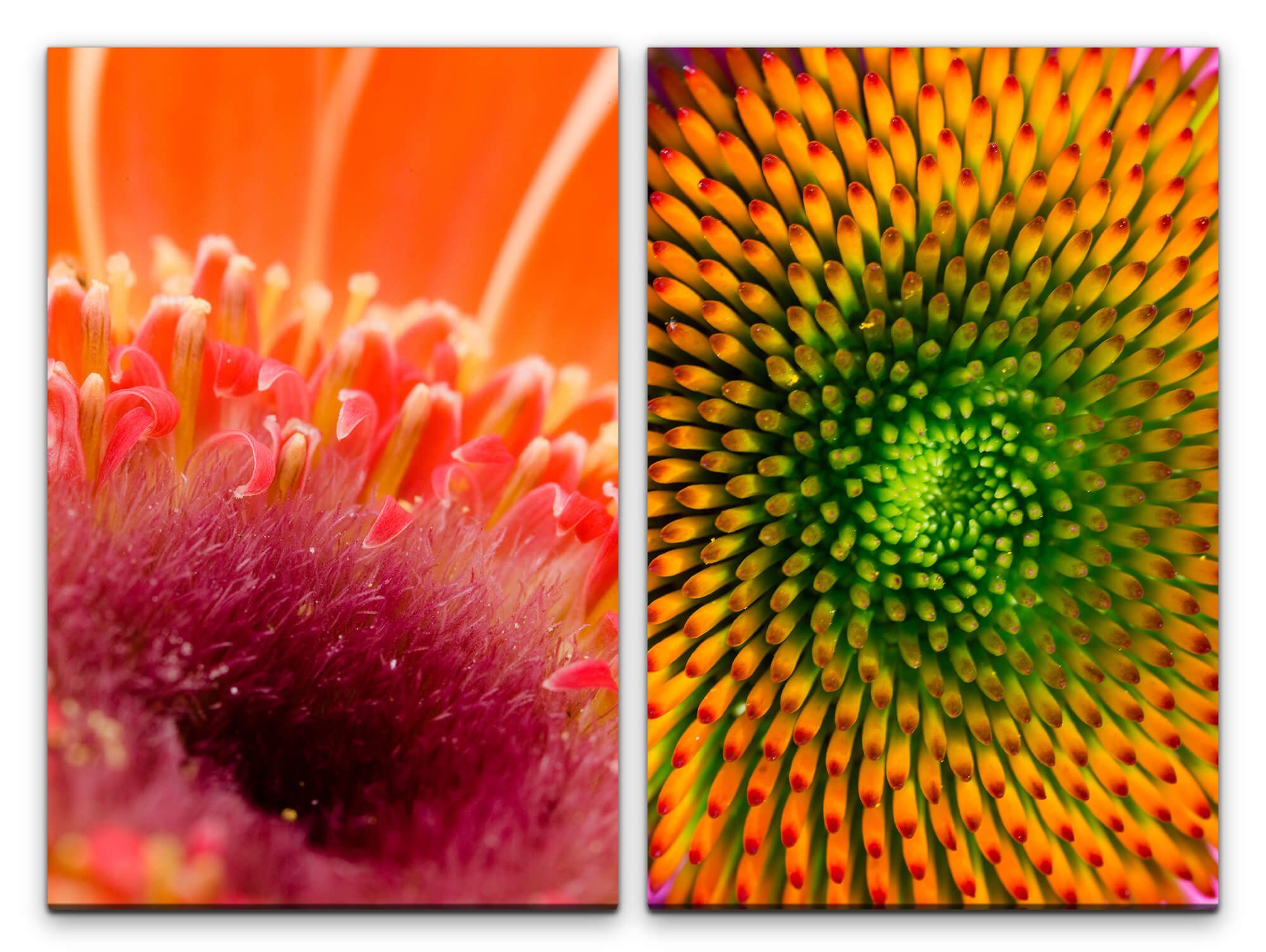 Sinus Art Leinwandbild 2 Bilder Je 60x90cm Blüten Farbenfroh Blumen
