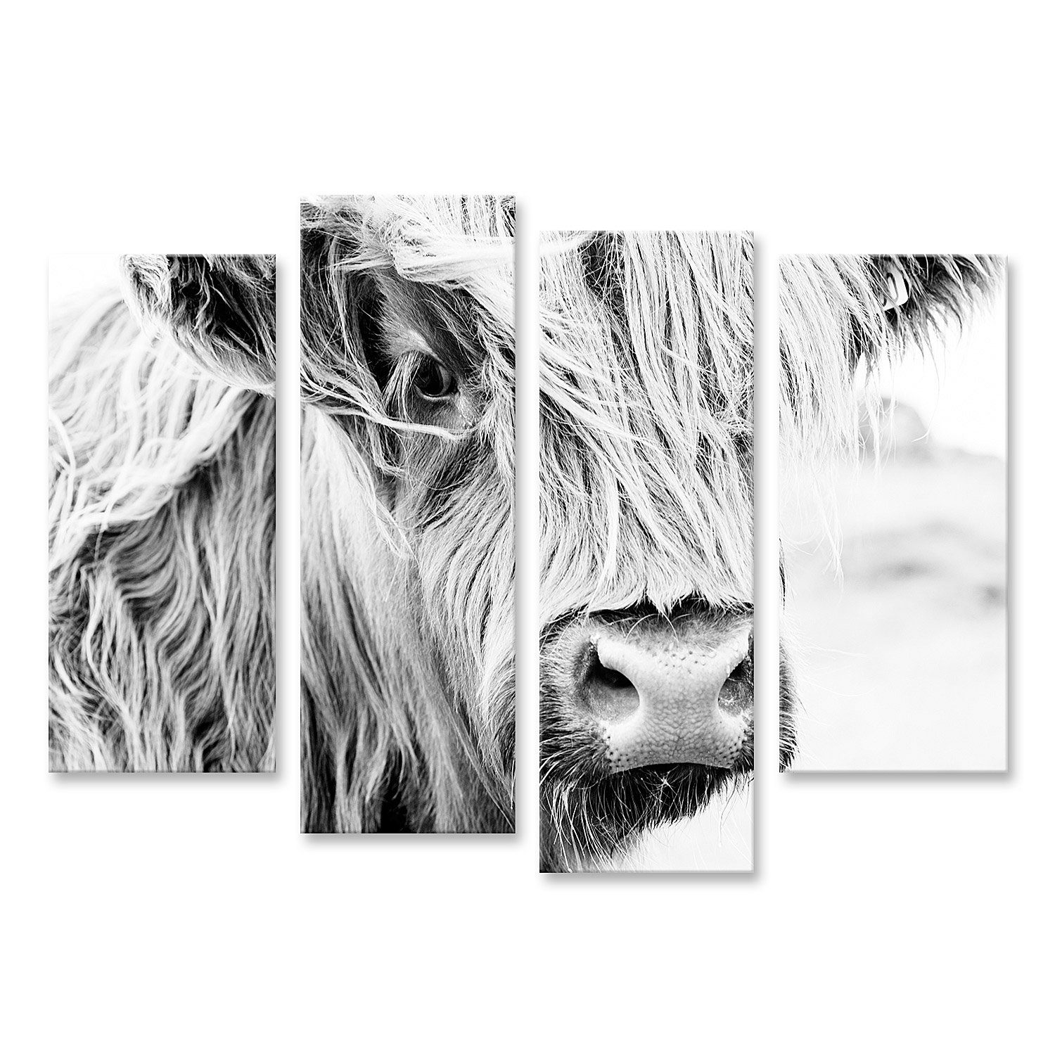 islandburner Leinwandbild Bild auf Leinwand Schottische Kuh im grünen Gras Wandbild Poster Kunst