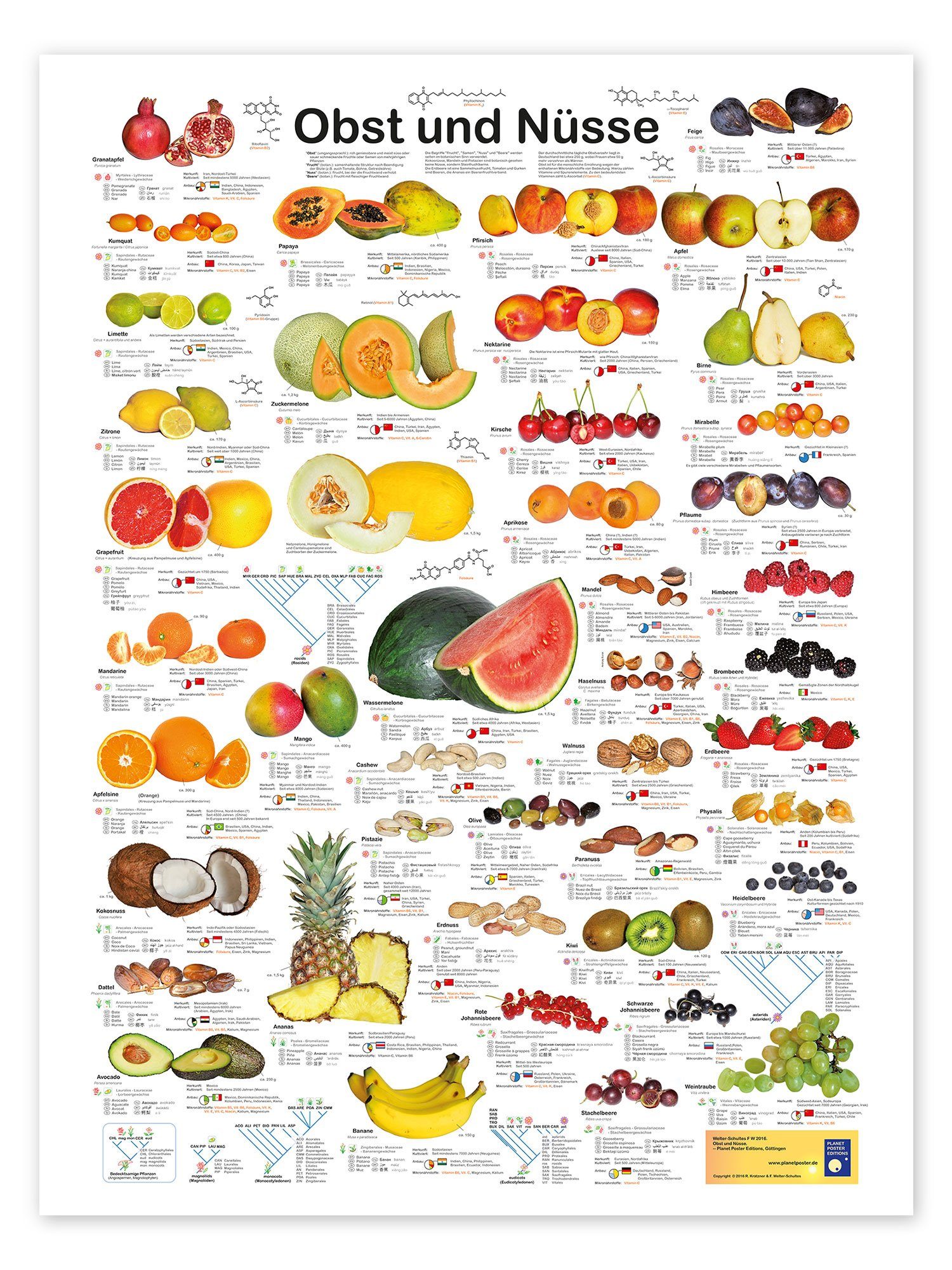 Posterlounge Poster Planet Poster Editions Obst Und Nüsse