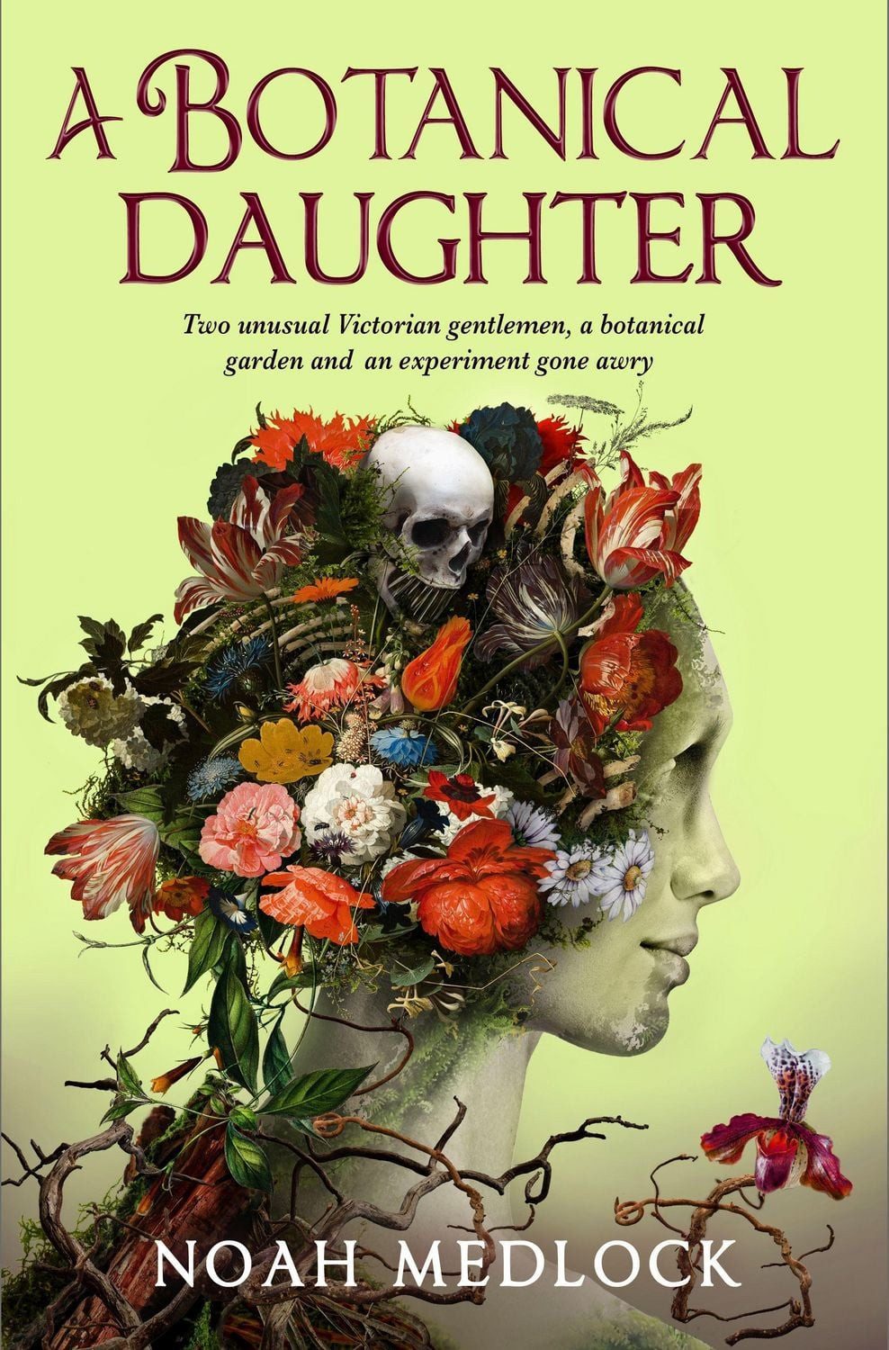 Belletristik A Botanical Daughter Noah Medlock, Unterhaltungsliteratur