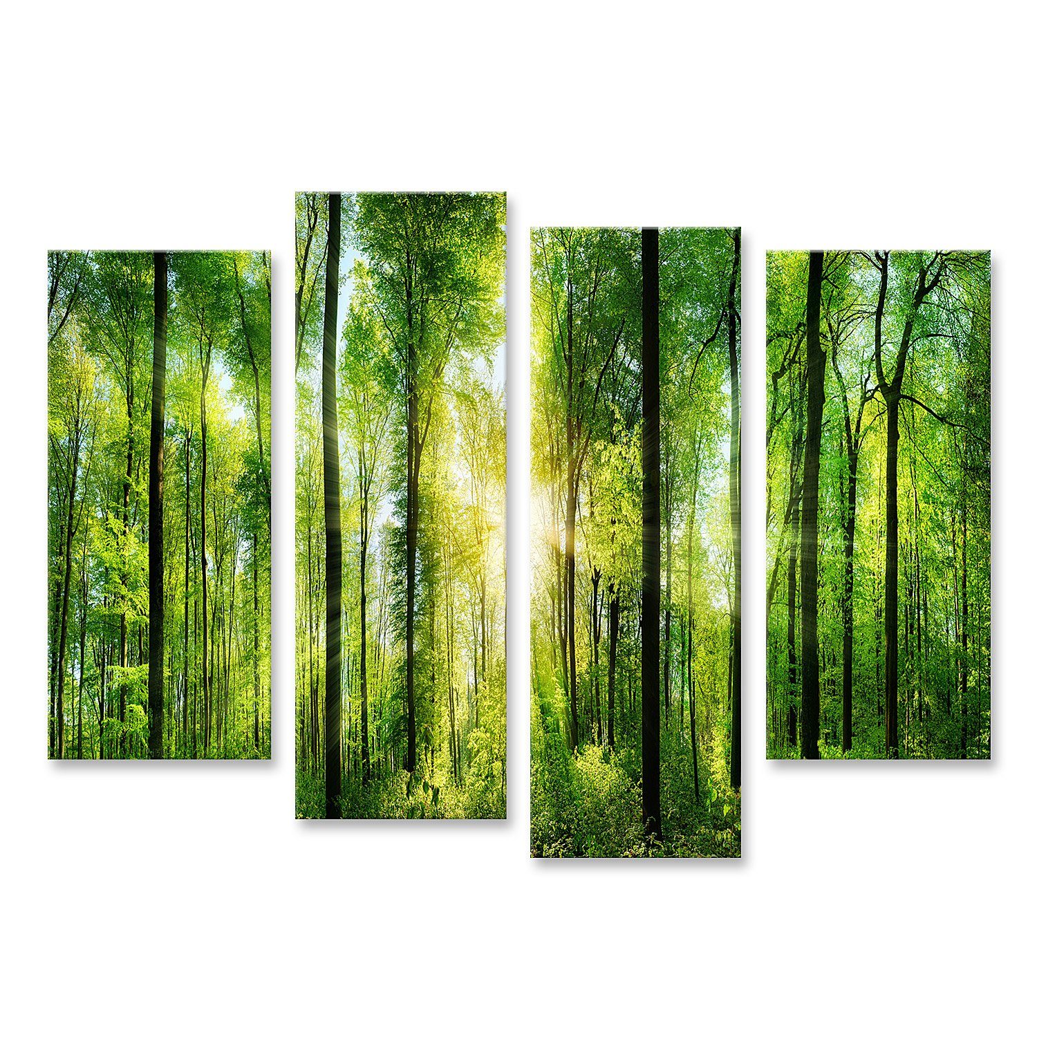 islandburner Leinwandbild »Bild auf Leinwand Panorama Malerischer Wald Mit Frischgrünen ...