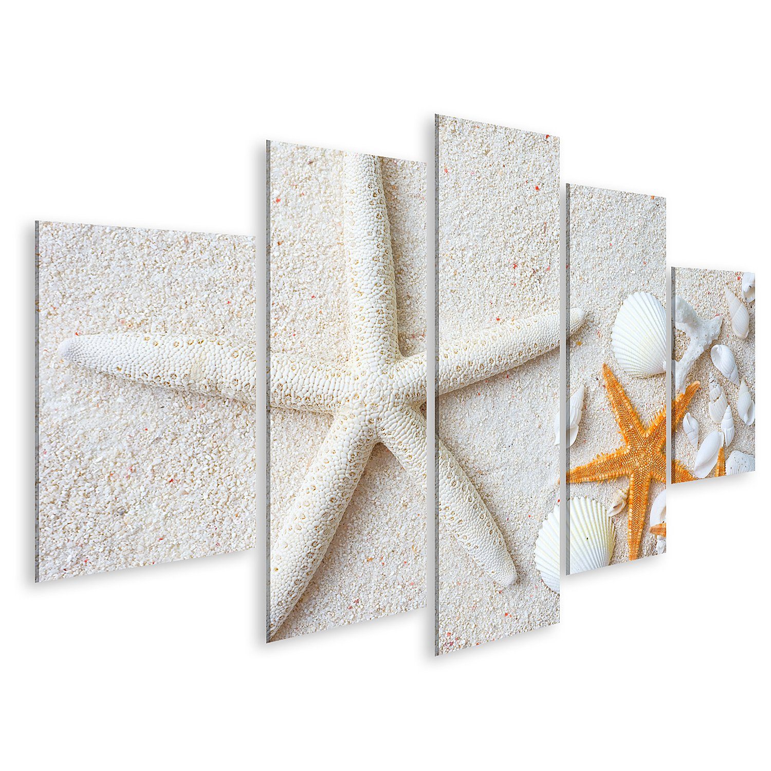 islandburner Leinwandbild Bild auf Leinwand Strand mit vielen Muscheln und Seesternen. Wandbild