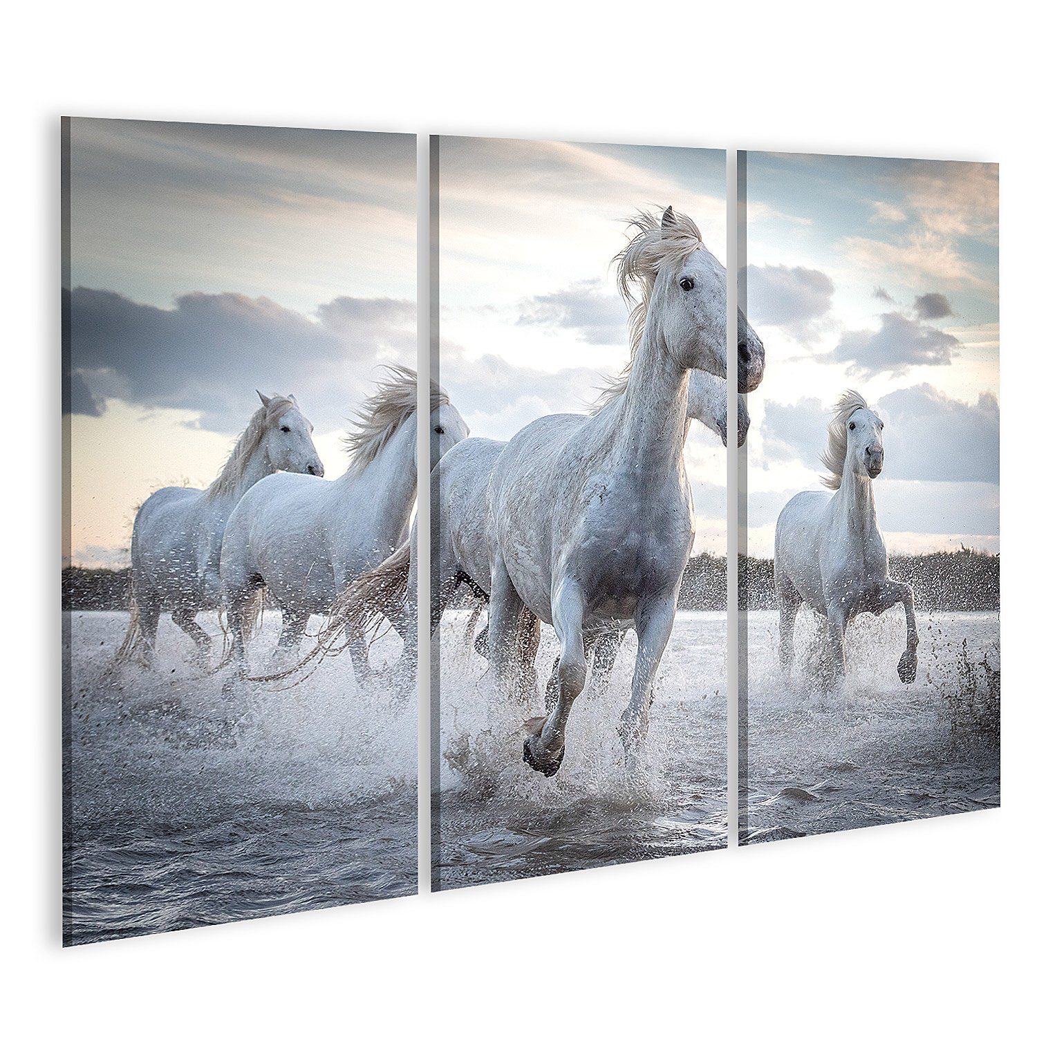 islandburner Leinwandbild Bild auf Leinwand Weiße Pferde Camargue Frankreich Herde Im Wasser ...