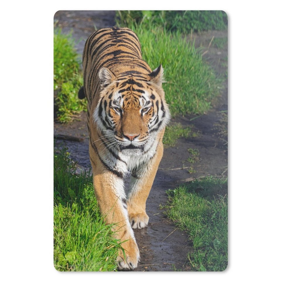 Muchowow Mauspad Tiger Gras Tiere 1 St Mousepad Computer