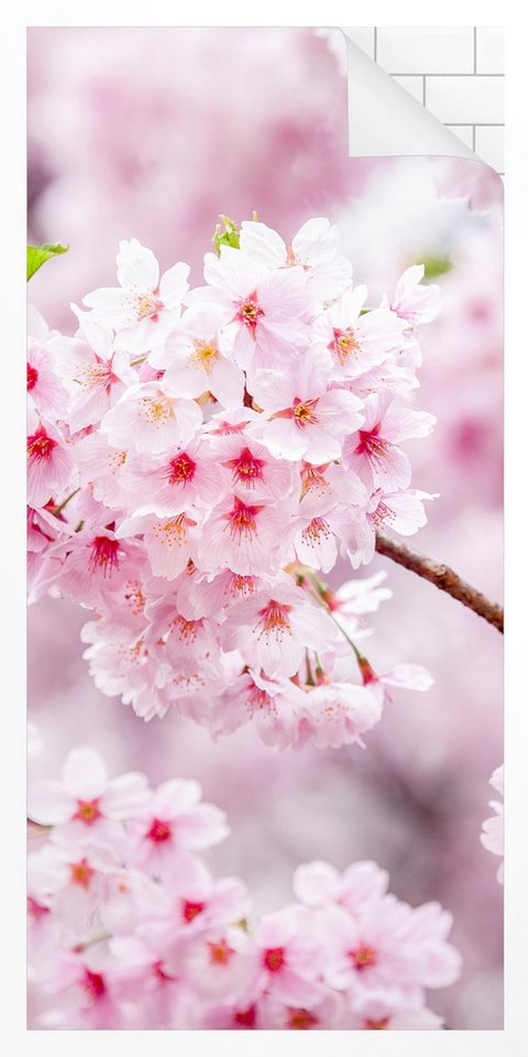 Bilderdepot24 Badrückwand Blumen Rosa Duschrückwand Ohne Bohren Stadt