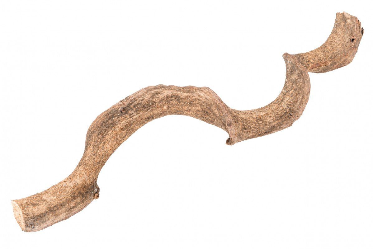 Nadeco Bastelnaturmaterial Drachen Liane Natur 60cm 2 3cm