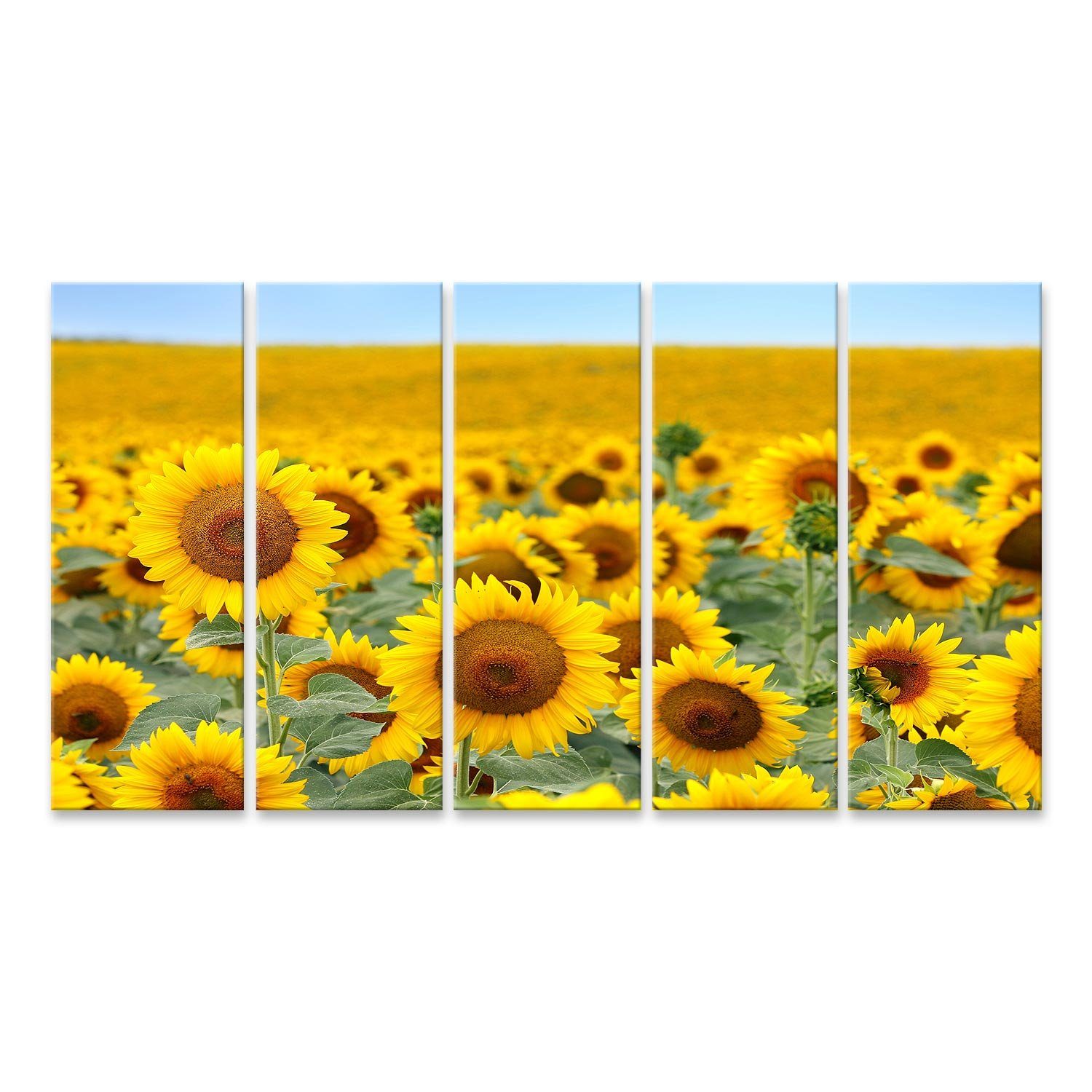 islandburner Leinwandbild »Bild auf Leinwand Schöne Sonnenblumenfeld Im Sommer Wandbild ...