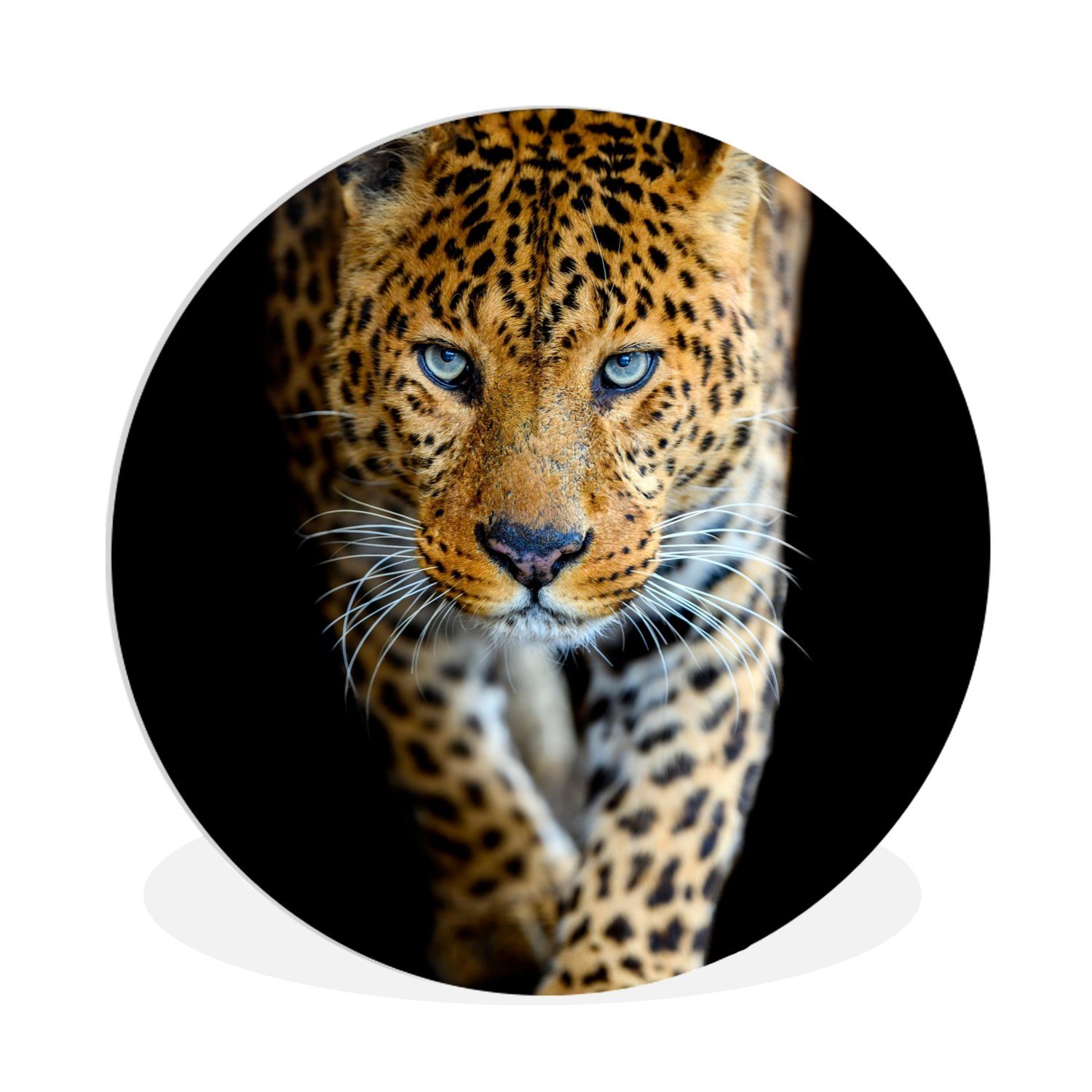 Muchowow Gemälde Leopard Tiere Porträt Wildtiere Schwarz
