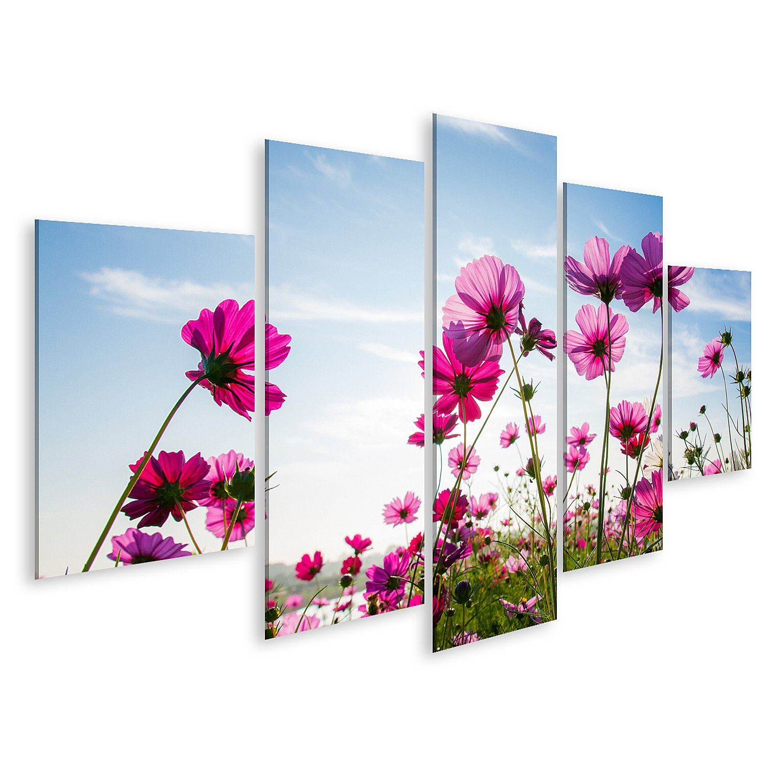 islandburner Leinwandbild »Bild auf Leinwand Der Kosmos Blumenfeld Wandbild Poster Kunstdruck ...