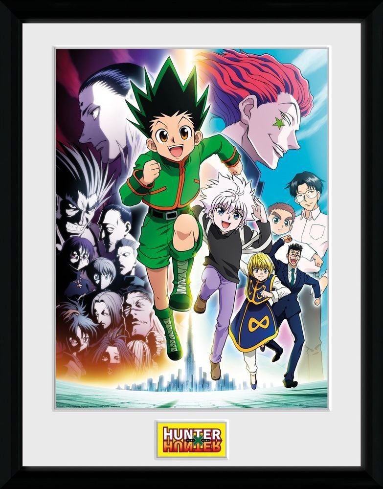 Hunter x Hunter Bilder online kaufen | OTTO
