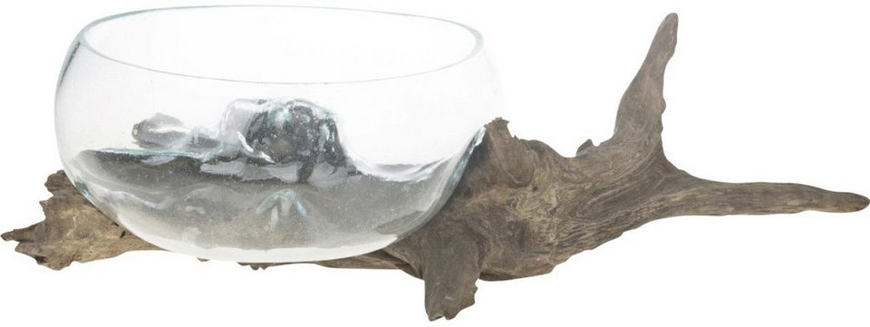 Dijk Dekofigur Dijk Glas Auf Wurzel 65 X 30 X 23 Cm