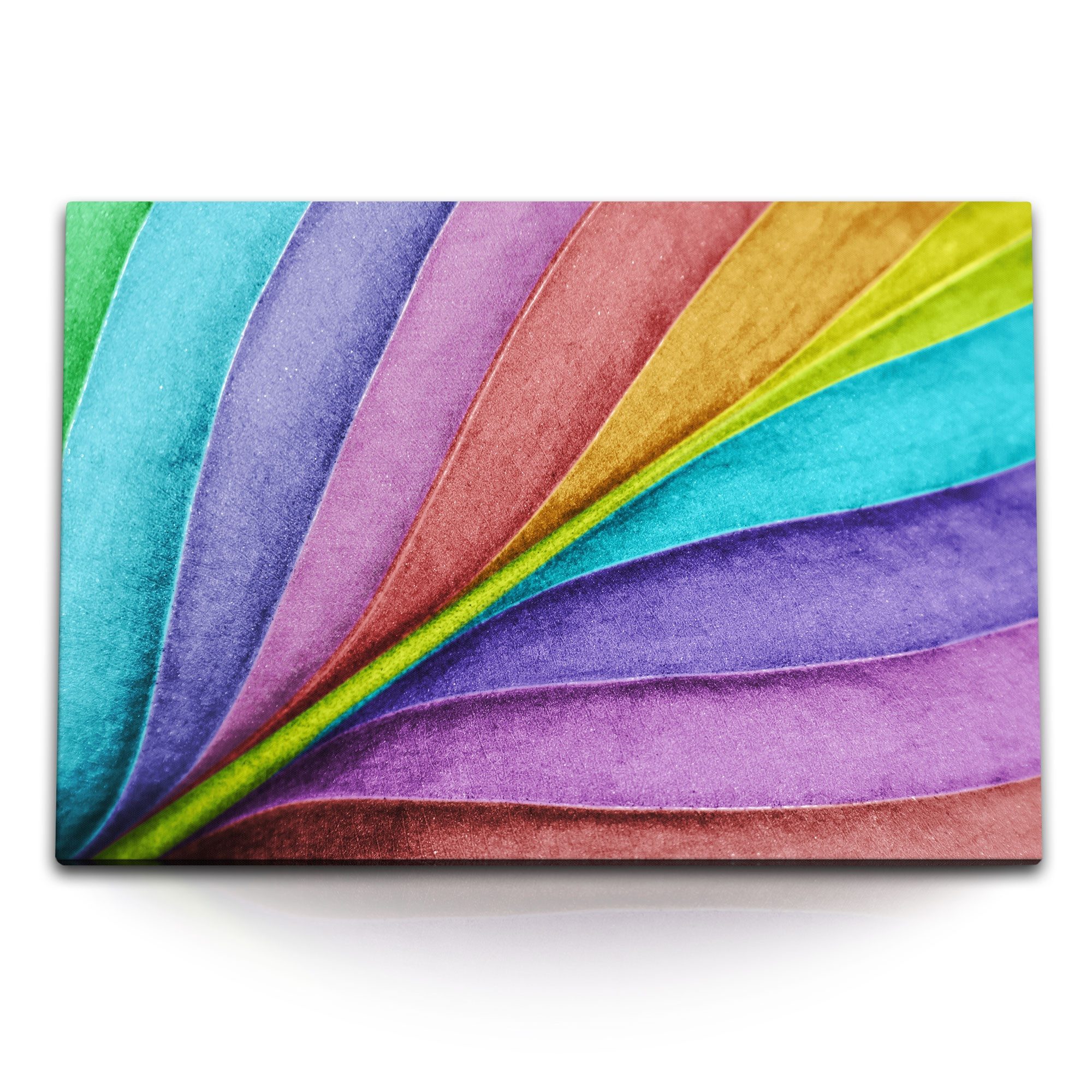 Sinus Art Leinwandbild 120x80cm Wandbild auf Leinwand Pflanzenblatt Bunt Farbenfroh Kunstvoll ...