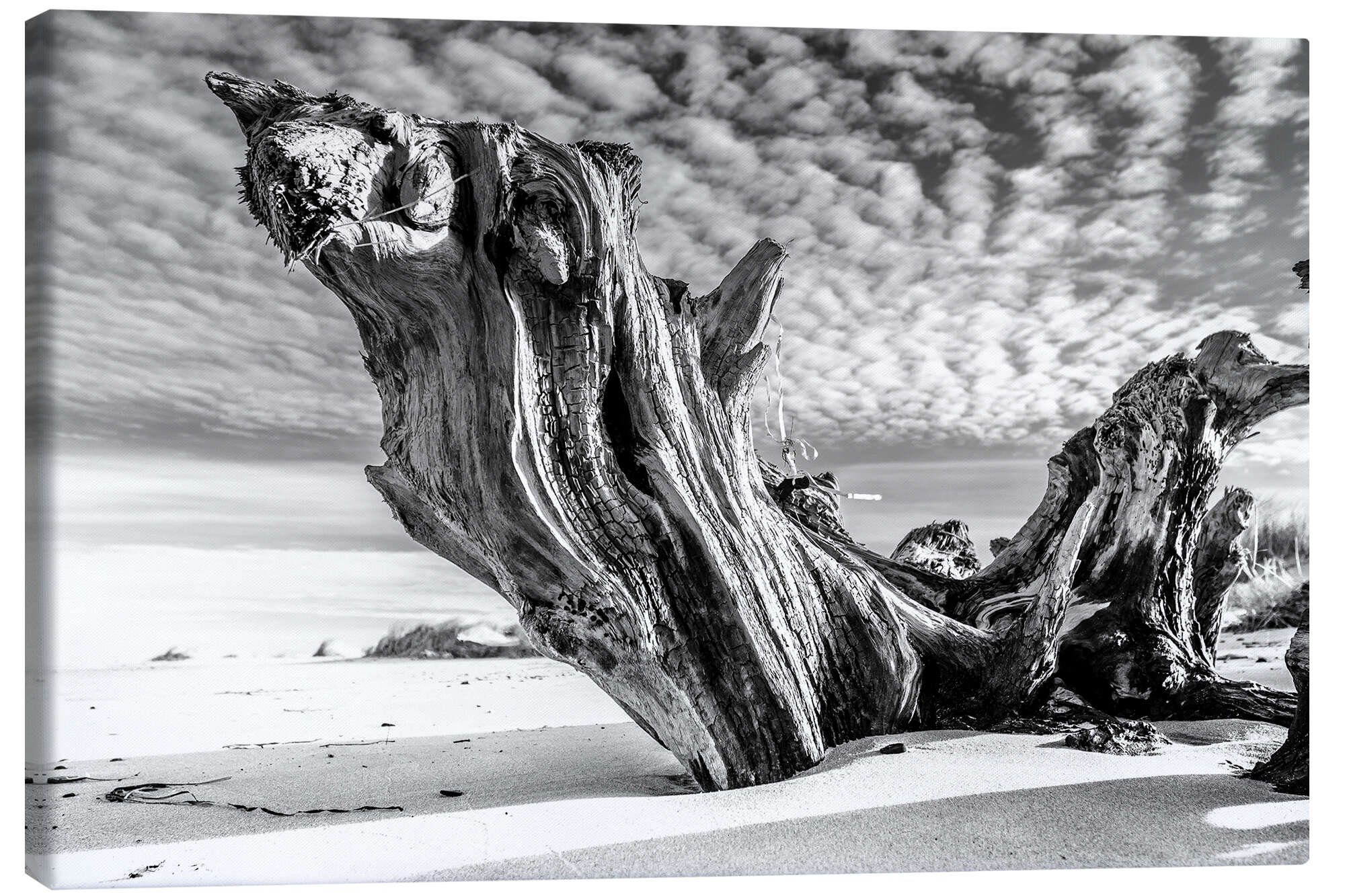 Posterlounge Leinwandbild Sascha Kilmer Ostseestrand Mit Alter