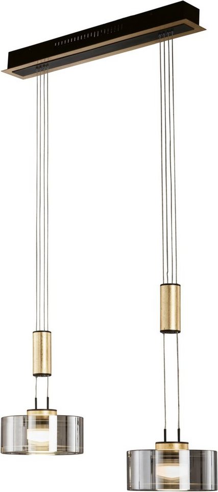 Fischer And Honsel Pendelleuchte Lavin Led Wechselbar Langlebige Led