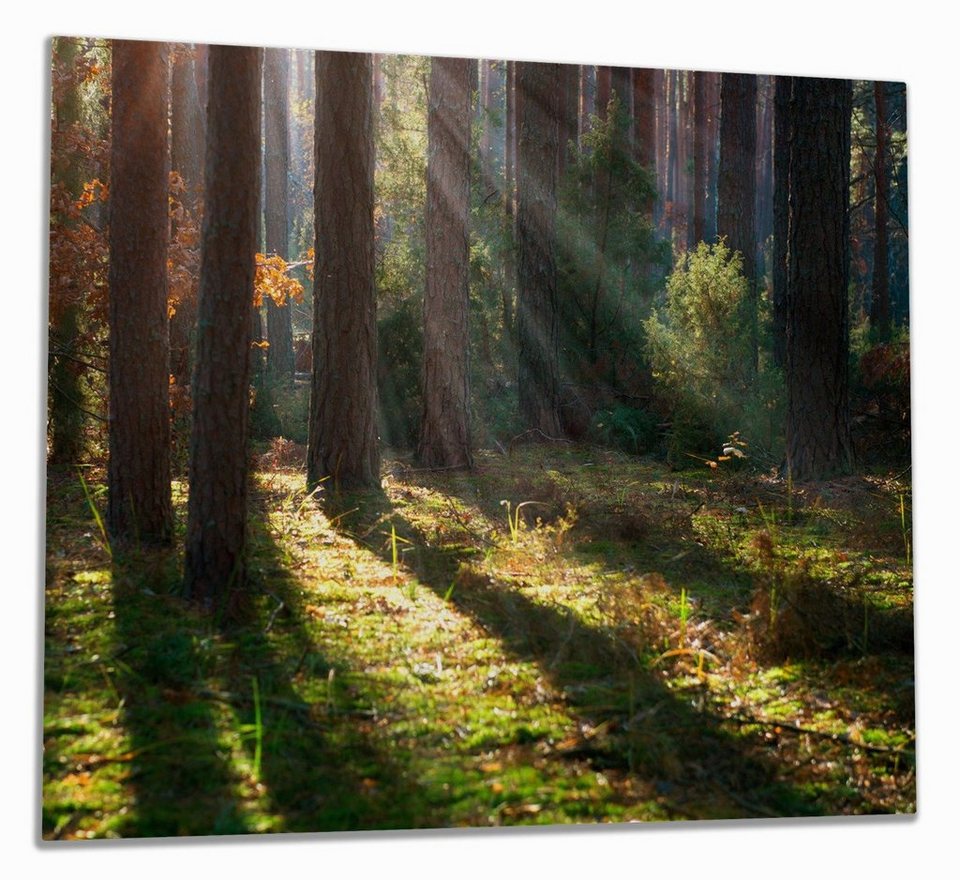 Wallario Herd Abdeckplatte Sonnenstrahlen Im Herbstwald Esg
