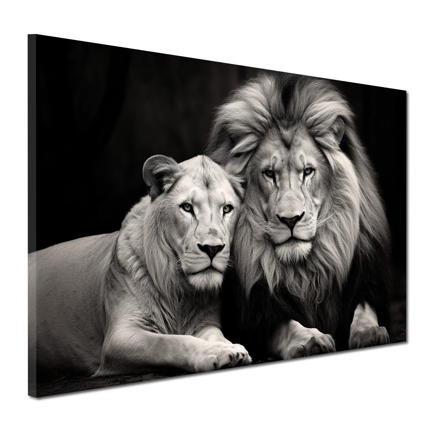Artedinoi Leinwandbild Löwen Beautiful Lions Schwarz Weiß Wandbild