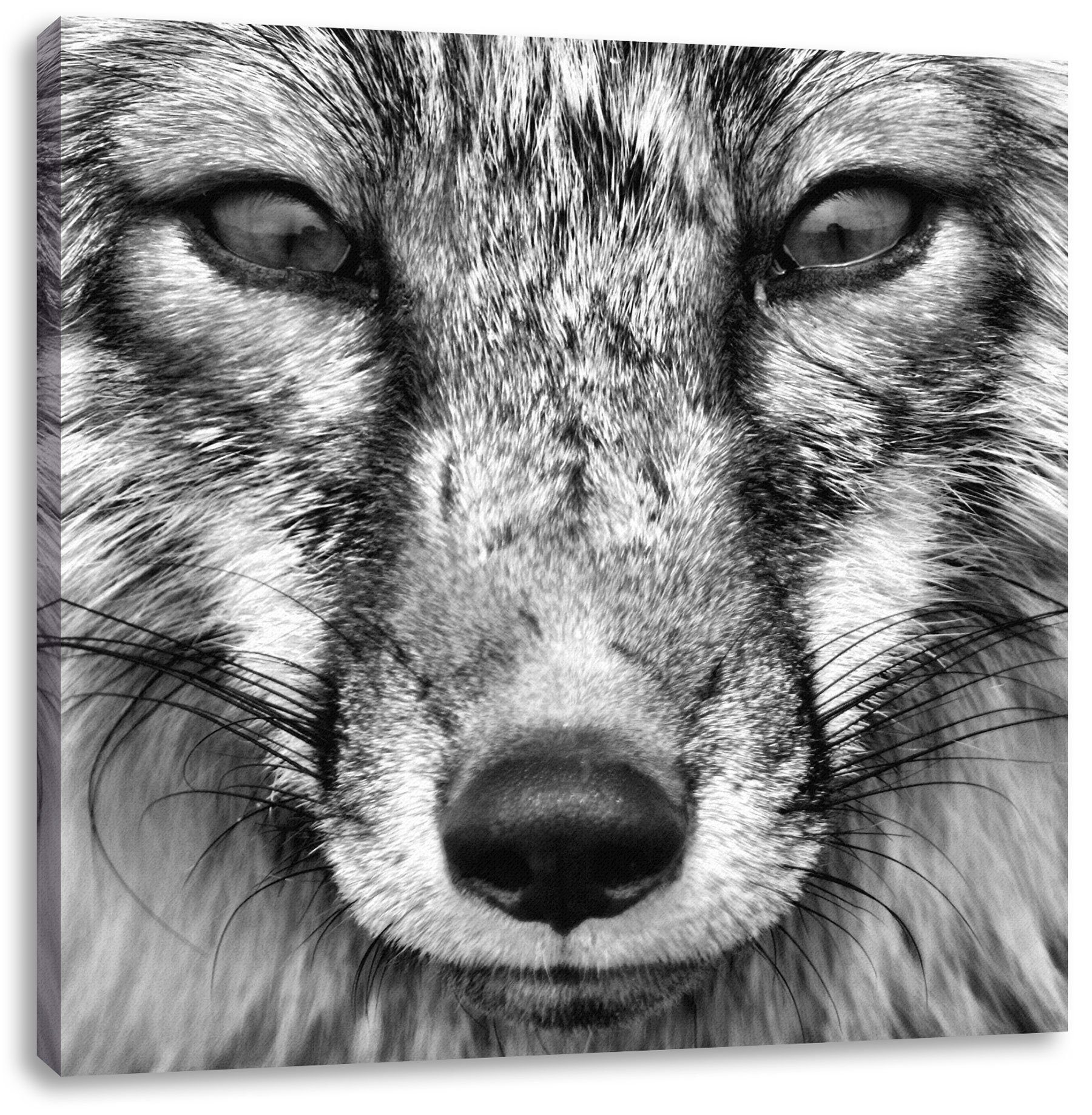 Pixxprint Leinwandbild Fuchs Porträt Wanddekoration 1 St
