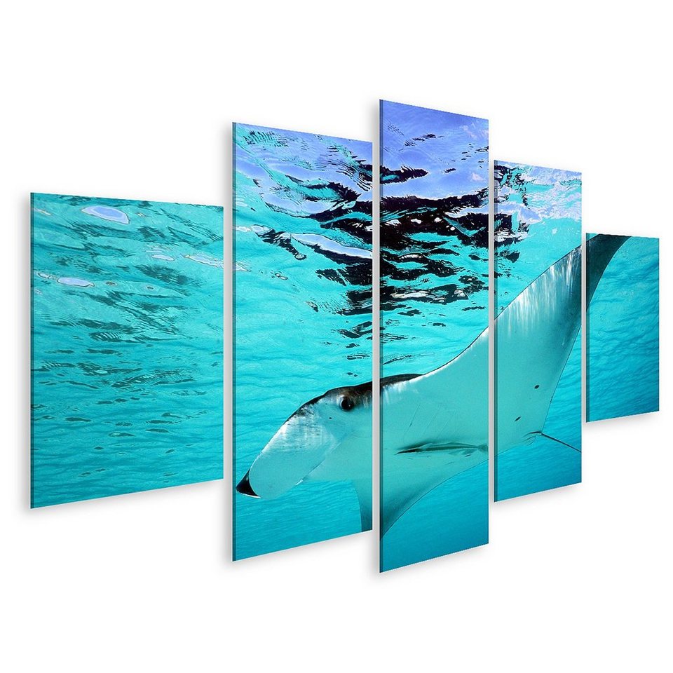 Islandburner Leinwandbild Bild Auf Leinwand Manta Rochen Wandbild