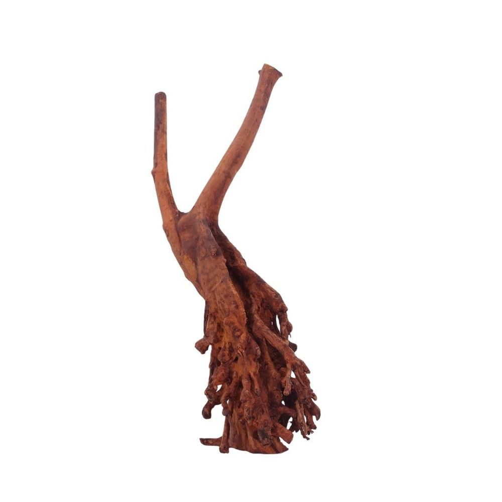 Aquaone Aquarium M Jungle Wood Wurzel Nr.4443 Holz Deko Aquascaping