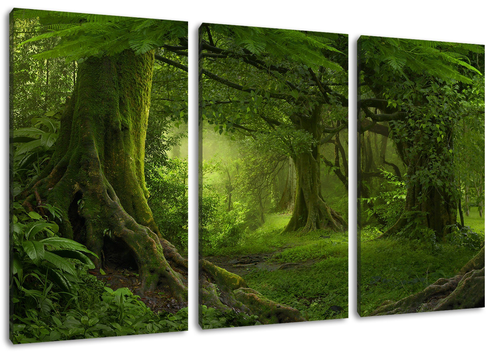 Pixxprint Leinwandbild Dschungel im Regenwald, Dschungel im Regenwald 3Teiler (120x80cm) (1 St ...