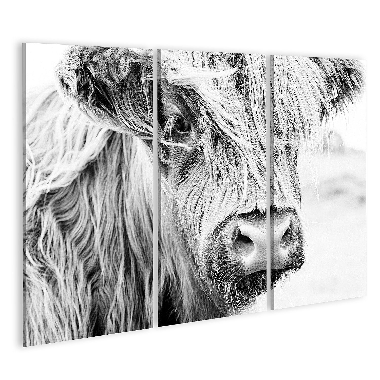 islandburner Leinwandbild Bild auf Leinwand Schottische Kuh im grünen Gras Wandbild Poster Kunst